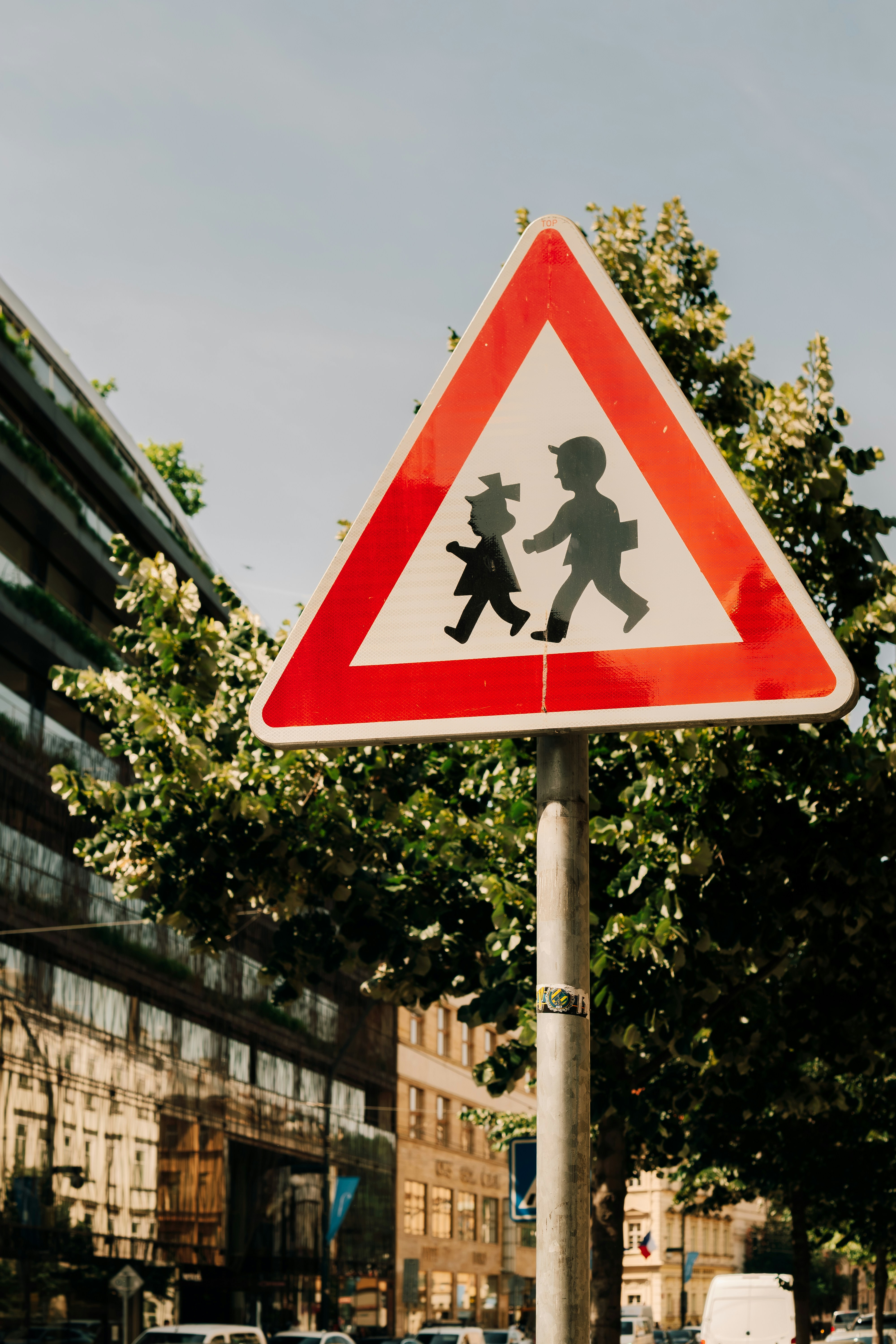 Crosswalk Signal: A Bold Street Sign Reaching into the Sky