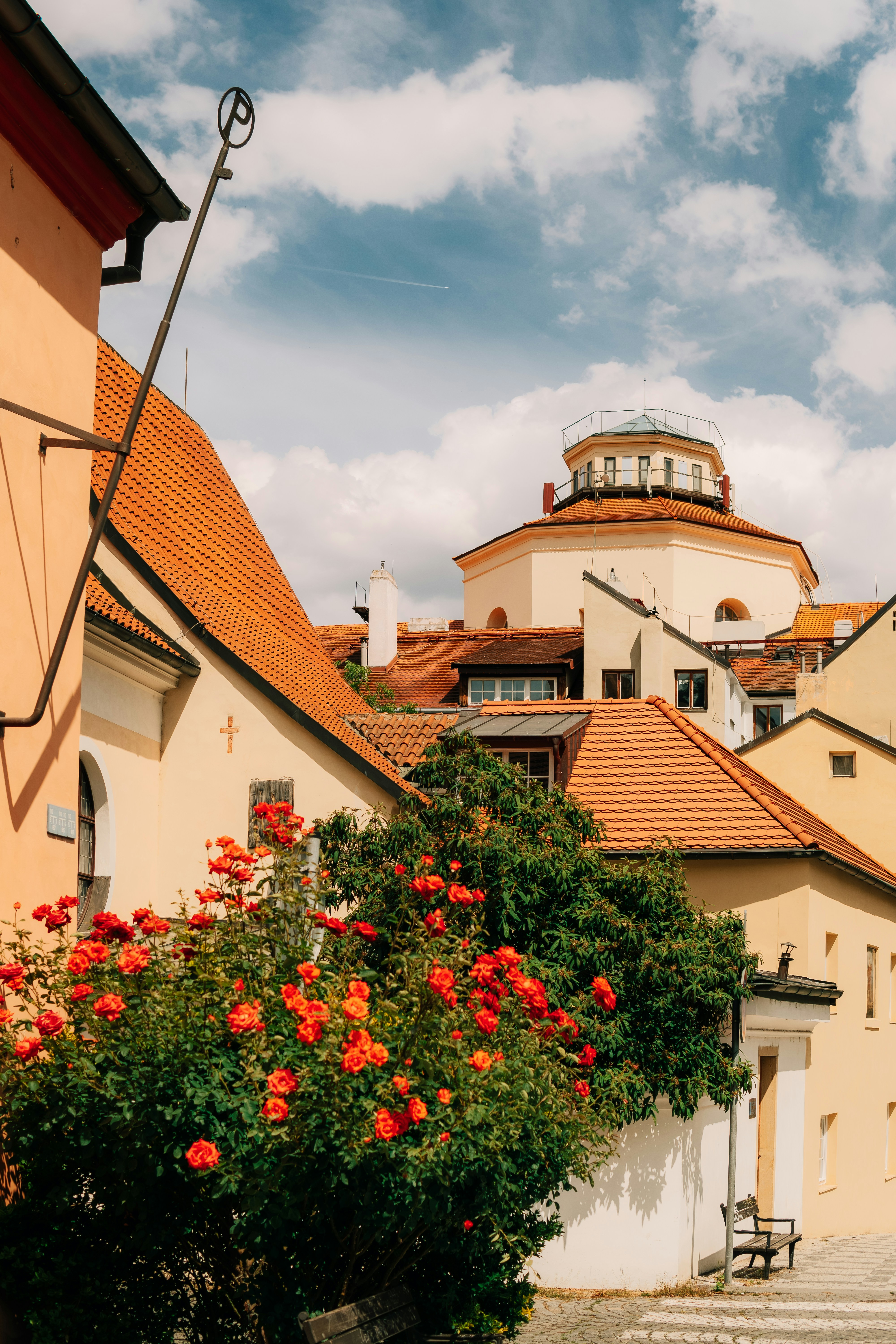 Sunlit Tiles and Crimson Blooms: A Quiet Rooftop Alley