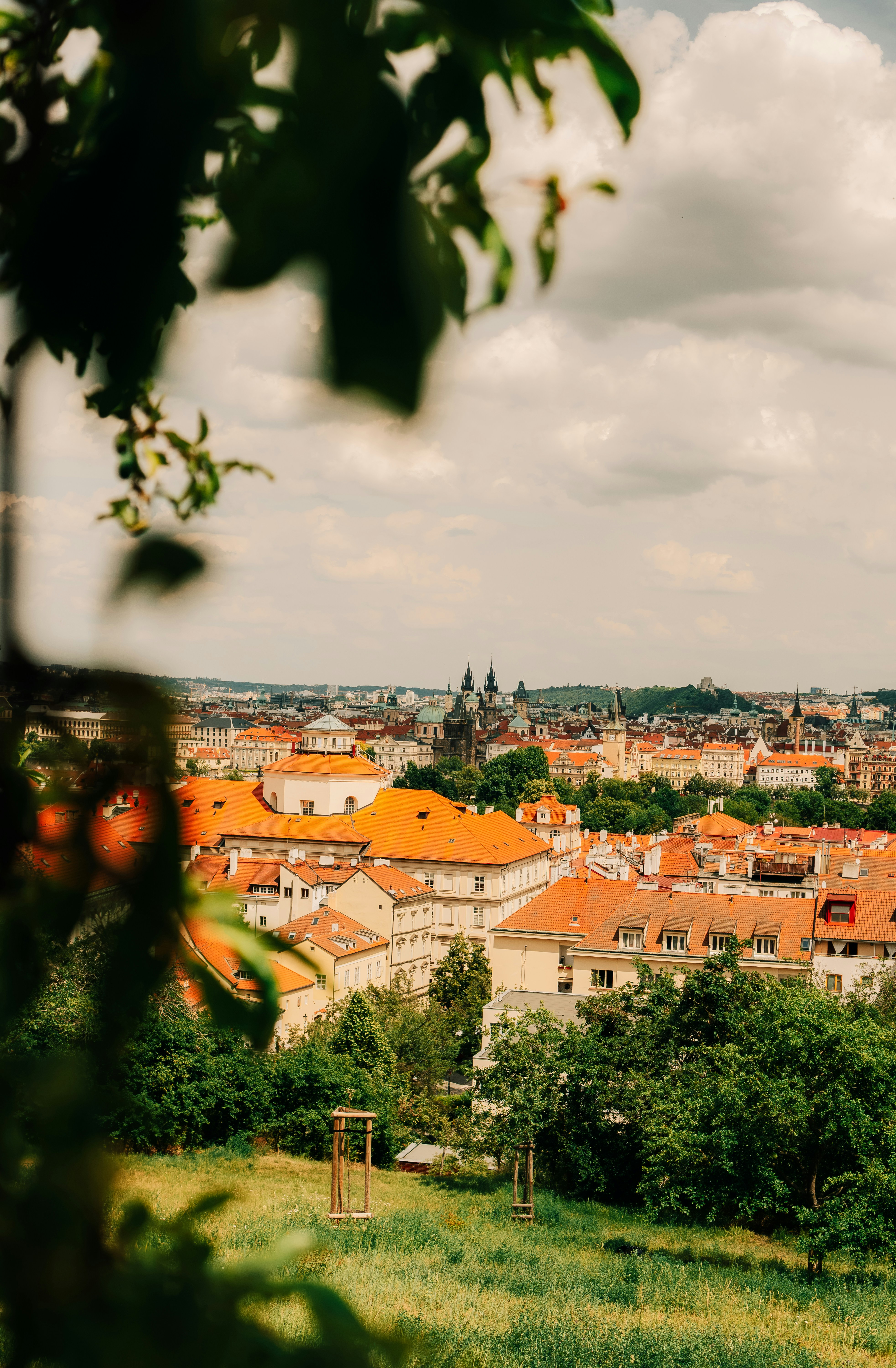 Overlook of the Red-Tiled City from a Lush Green Ridge