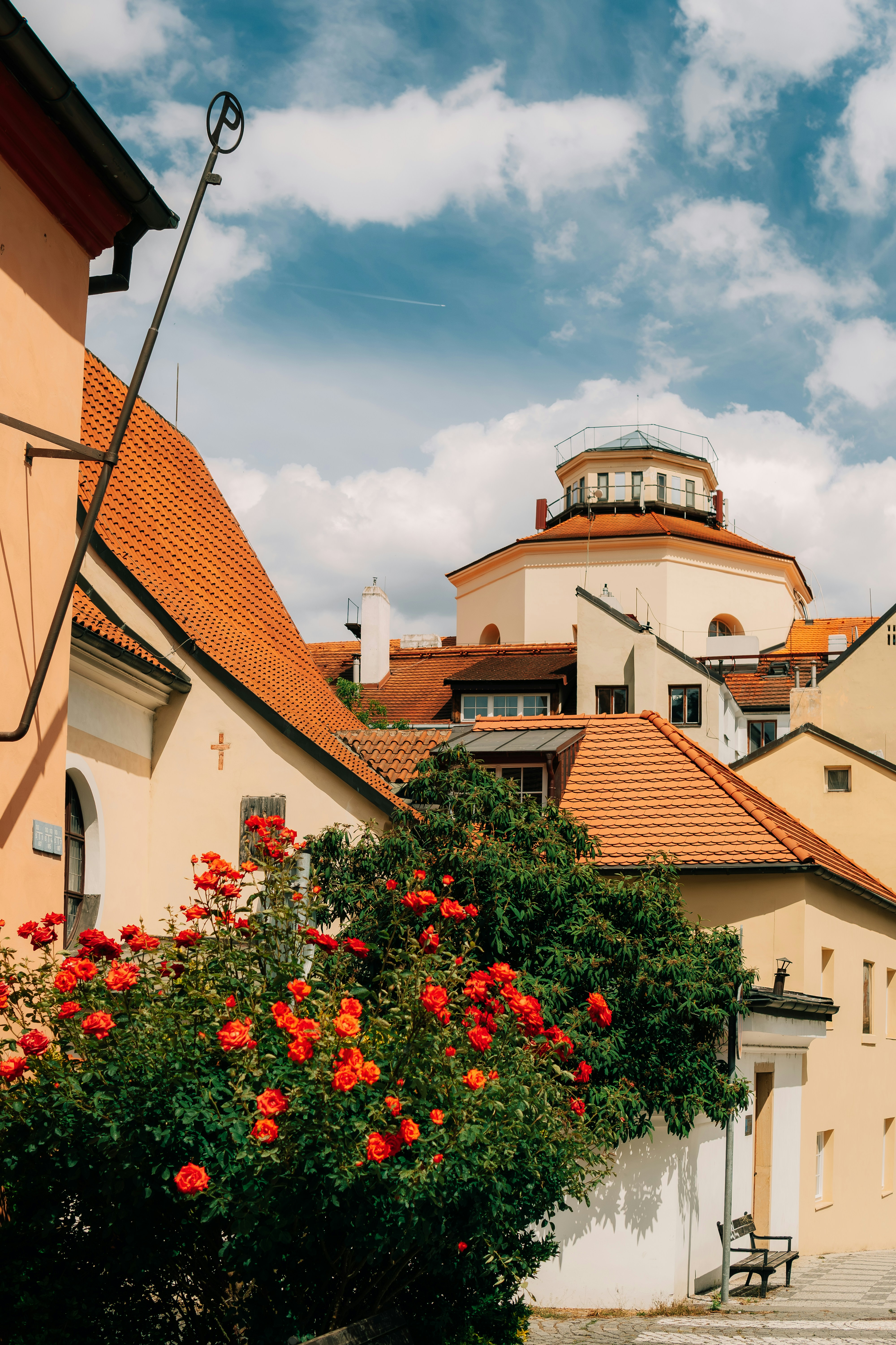 Rooftop Cascade: Orange Tiles and Blooming Roses Under a Sky of White Clouds