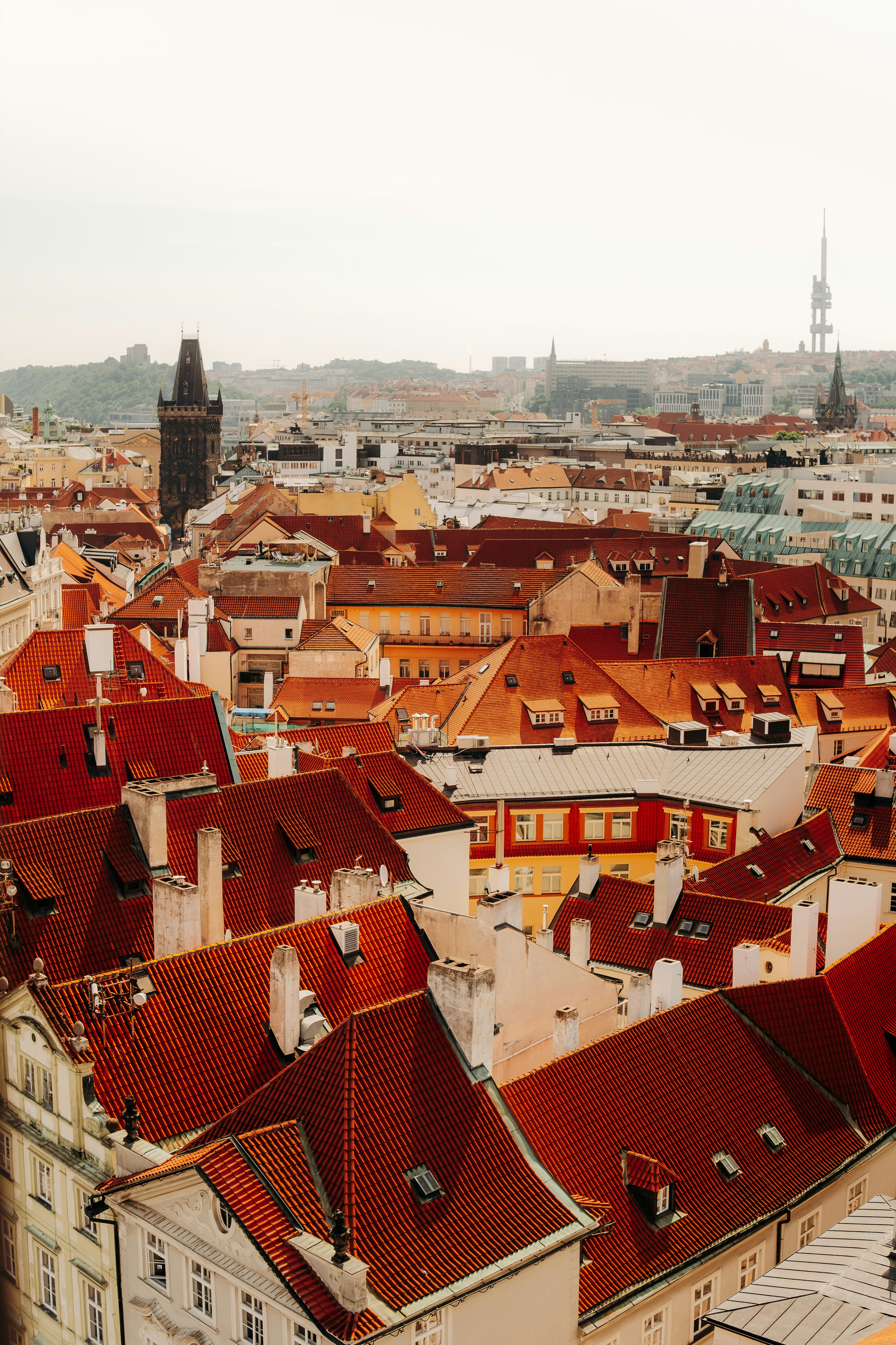 Terracotta Rooftops: A City Mosaic United by Warm Light