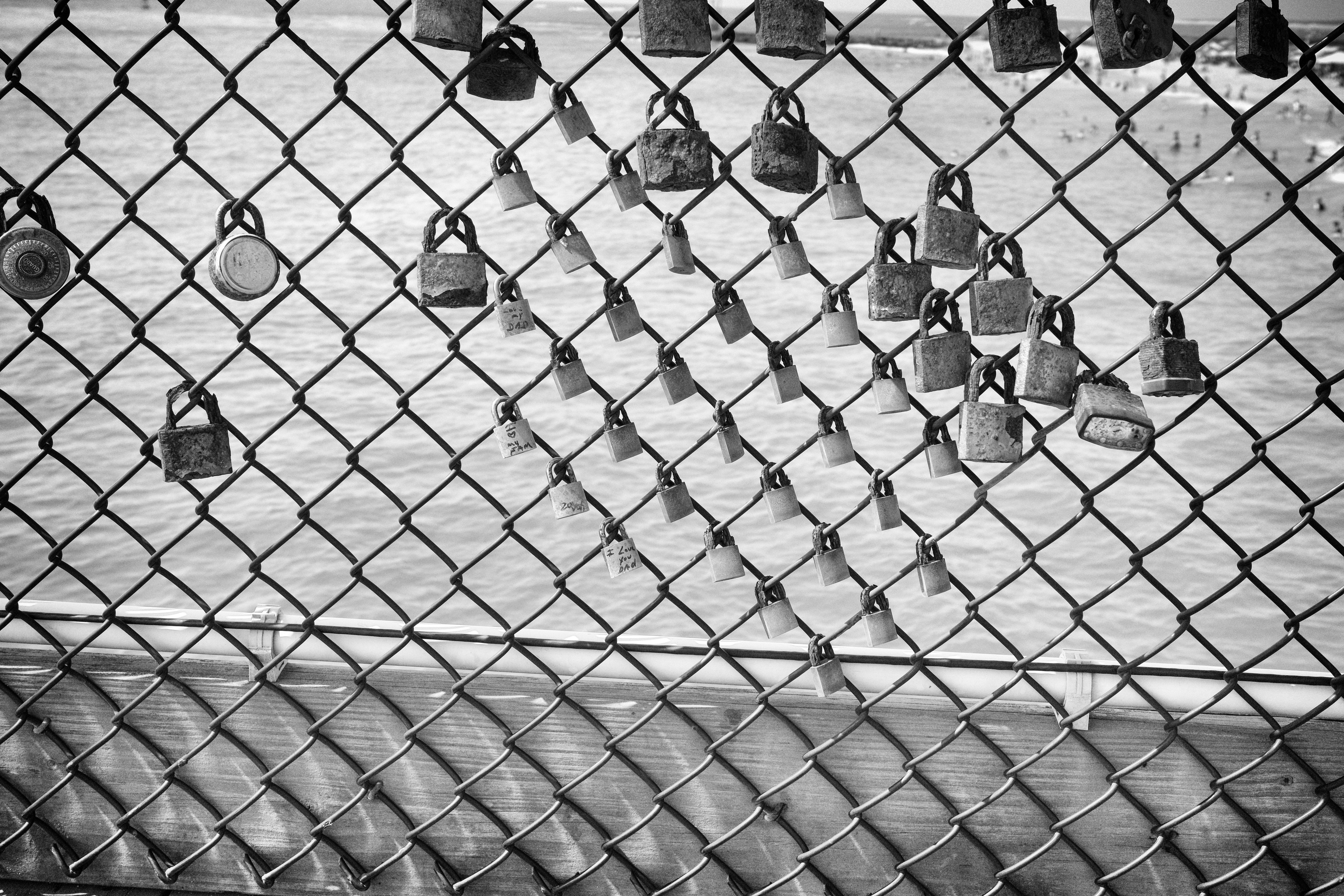 Locks in the Chain: A Field of Love Locks Behind a Rigid Fence