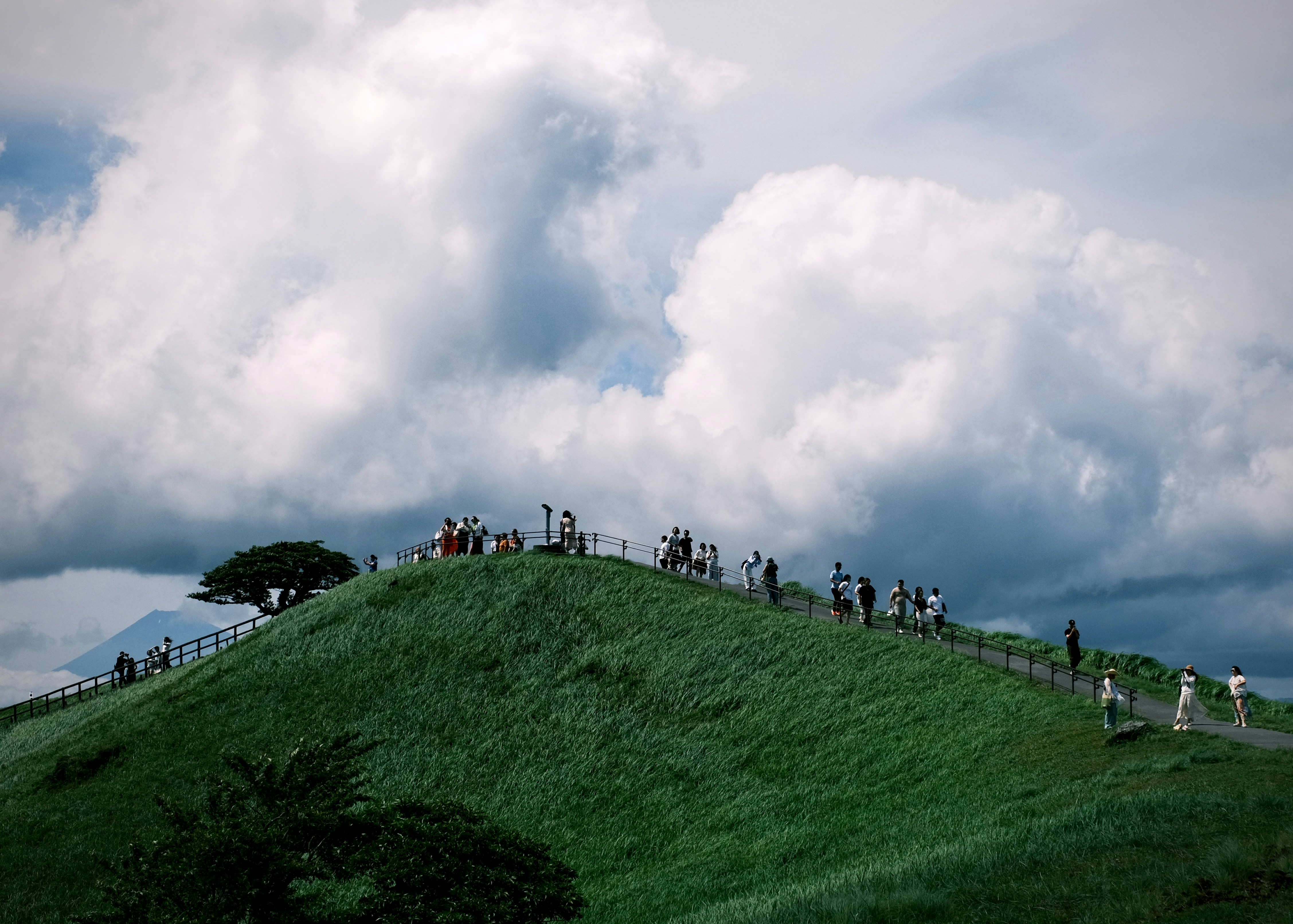 Hilltop Parade: A Gentle Climb Beneath Expansive Skies
