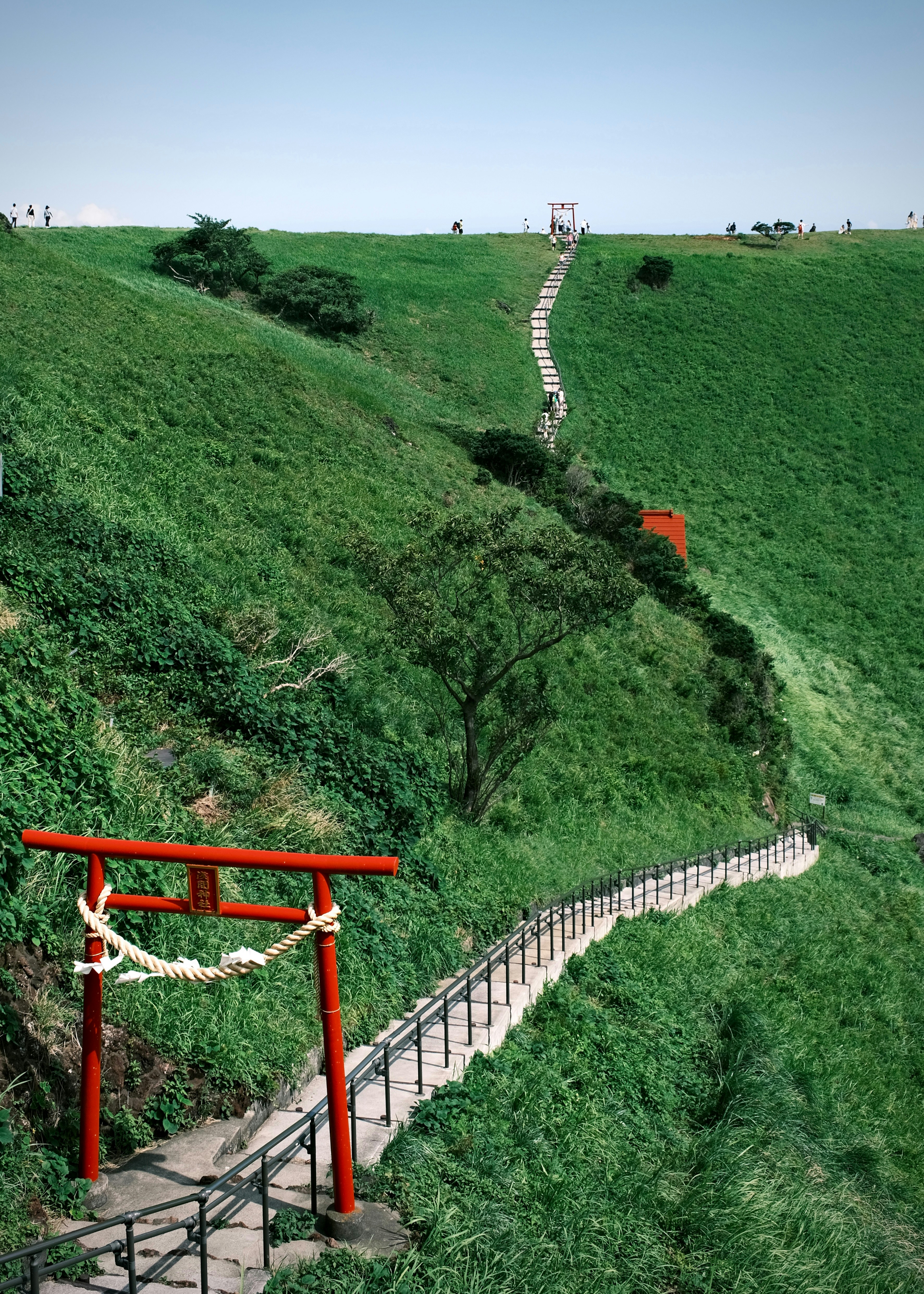 Red Torii Gate Framing a Winding Path Across Emerald Hills
