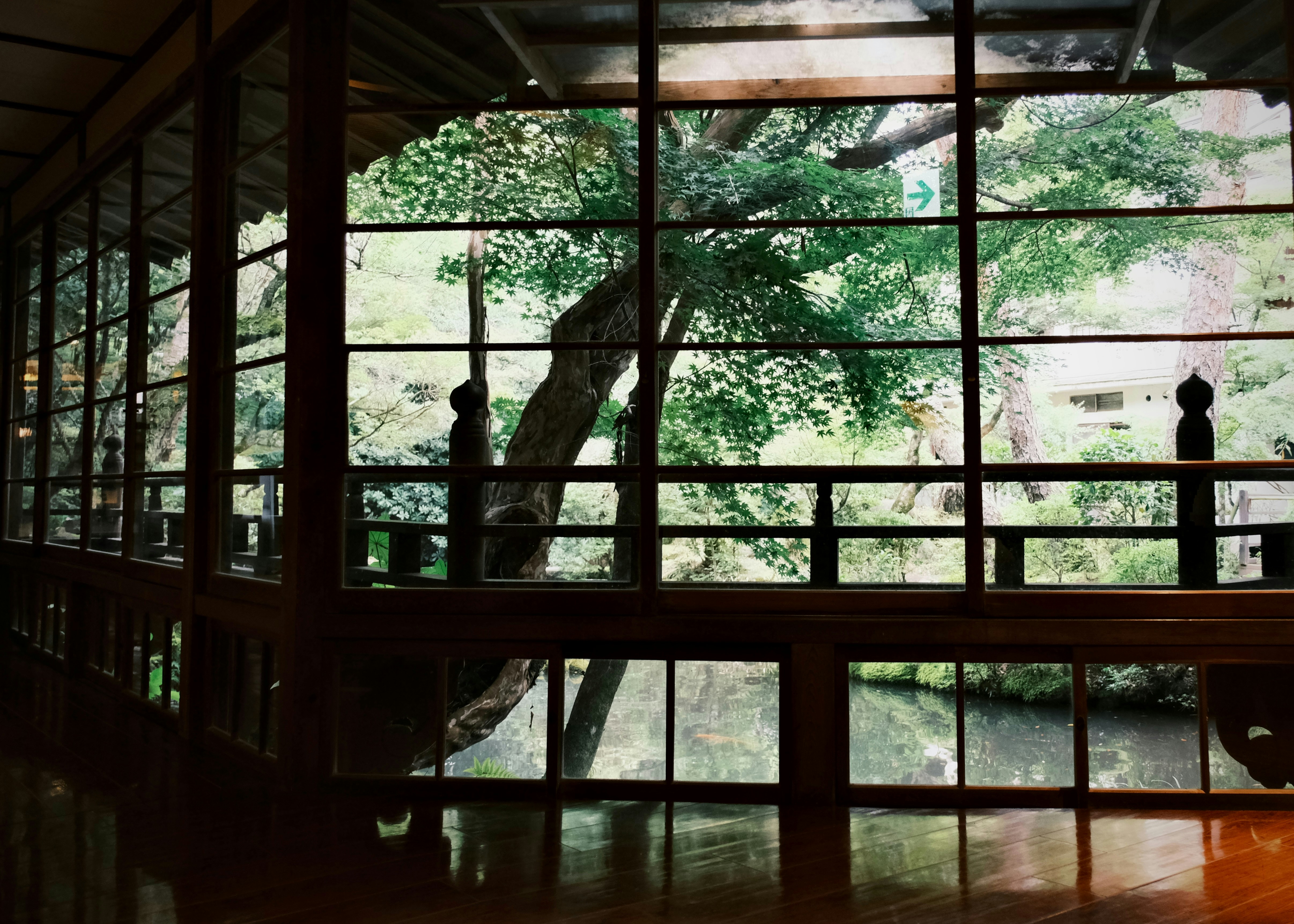 Sunlit Tranquility Through Wood and Glass
