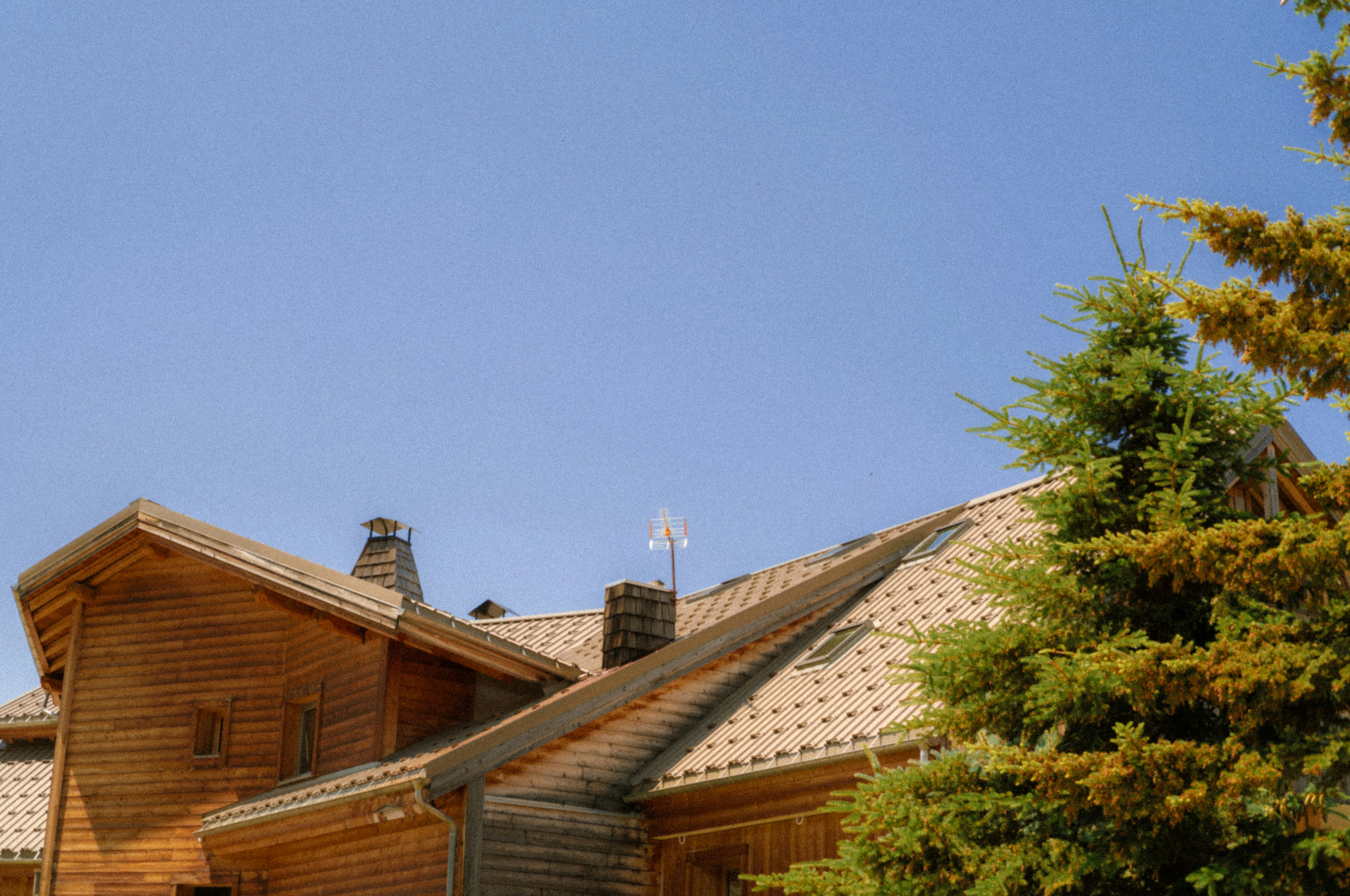 Sunlit Chalet Ridge with Pine Sentinel