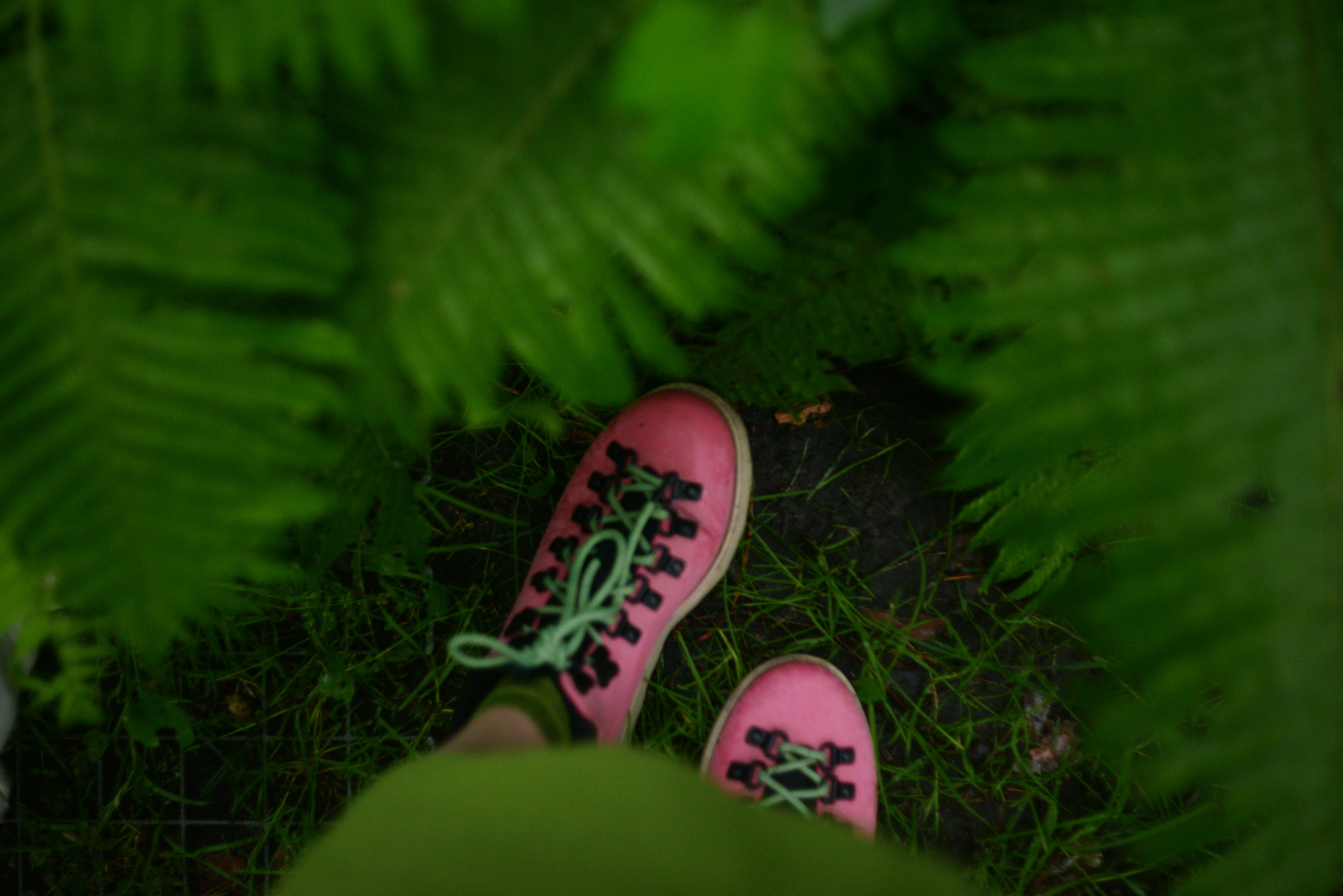 Pink Sneakers in a Fern Frame