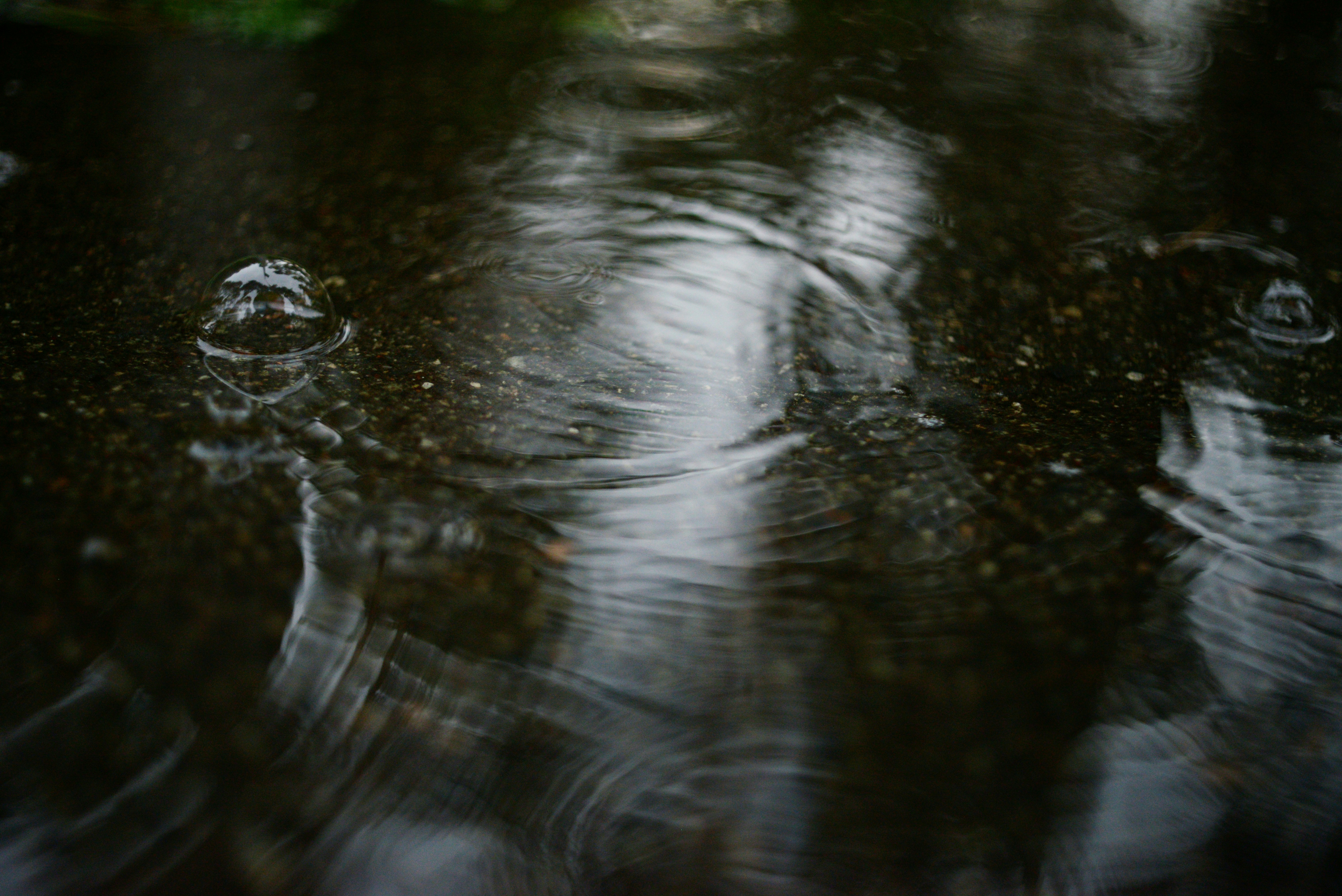 Ripple Concentric: Quiet Drops on a Rain-Fed Surface