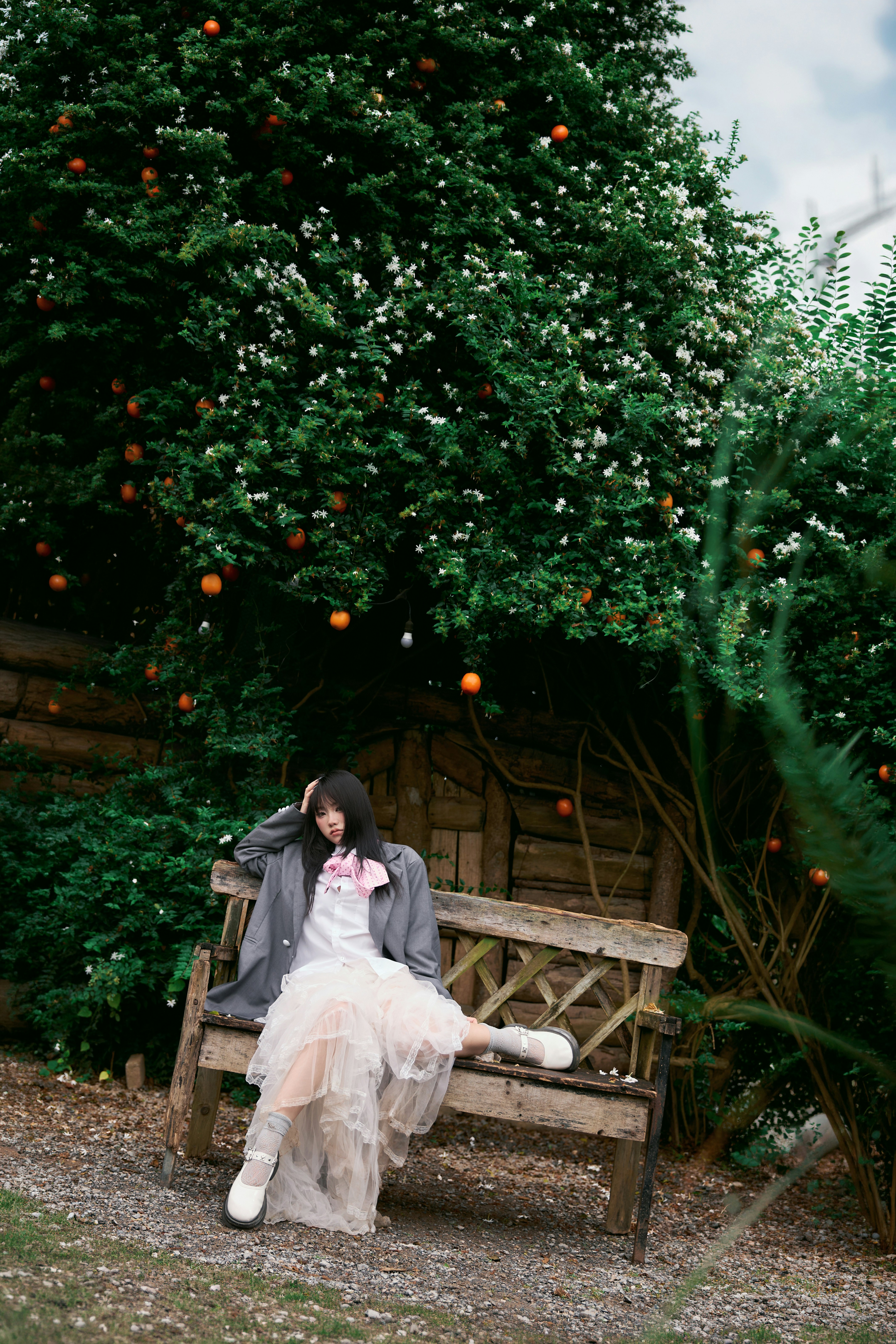 Girl on a Weathered Bench Beneath an Orchard Canopy