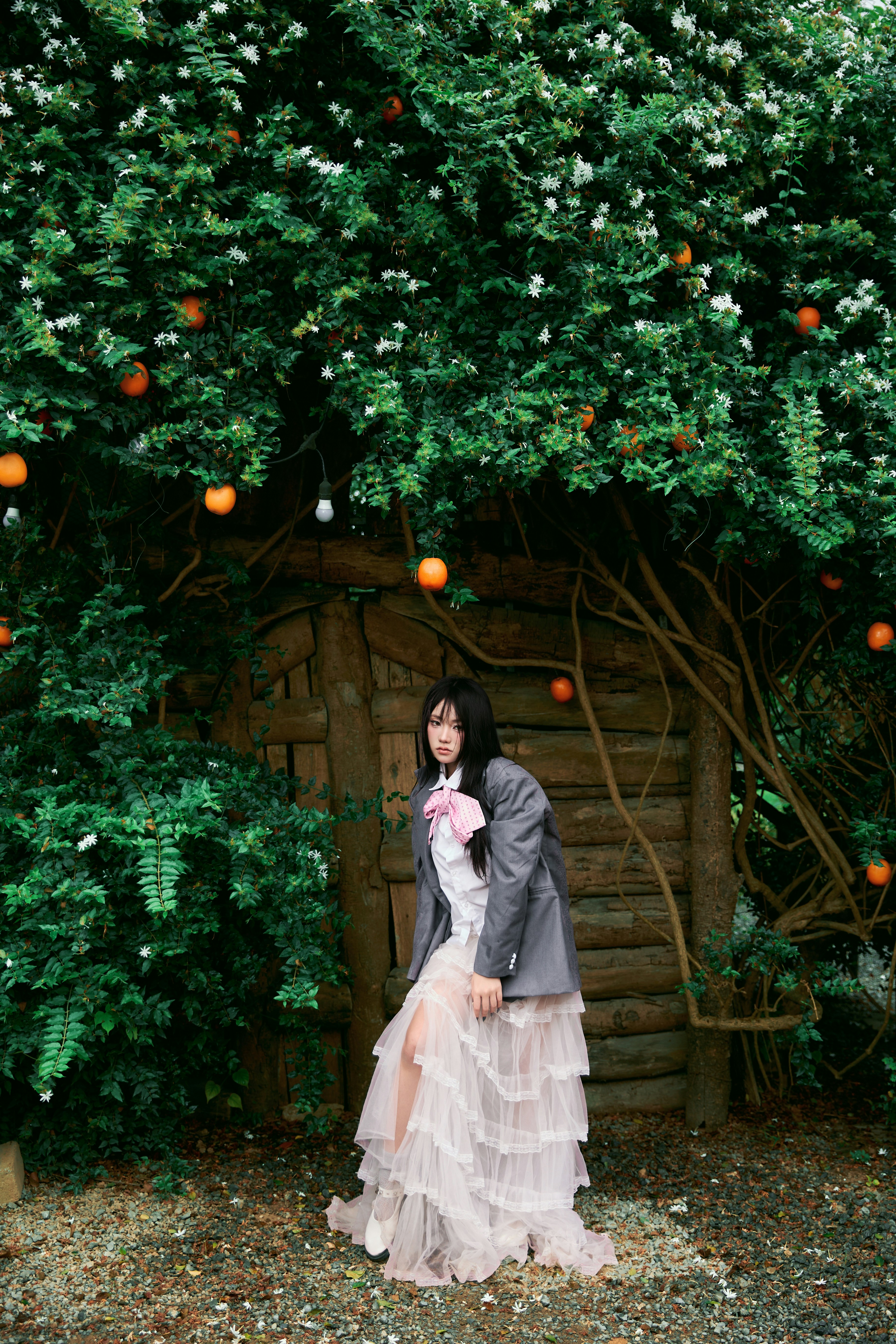 Emerald Archway: A Quiet Portrait Beneath an Orchard of Oranges