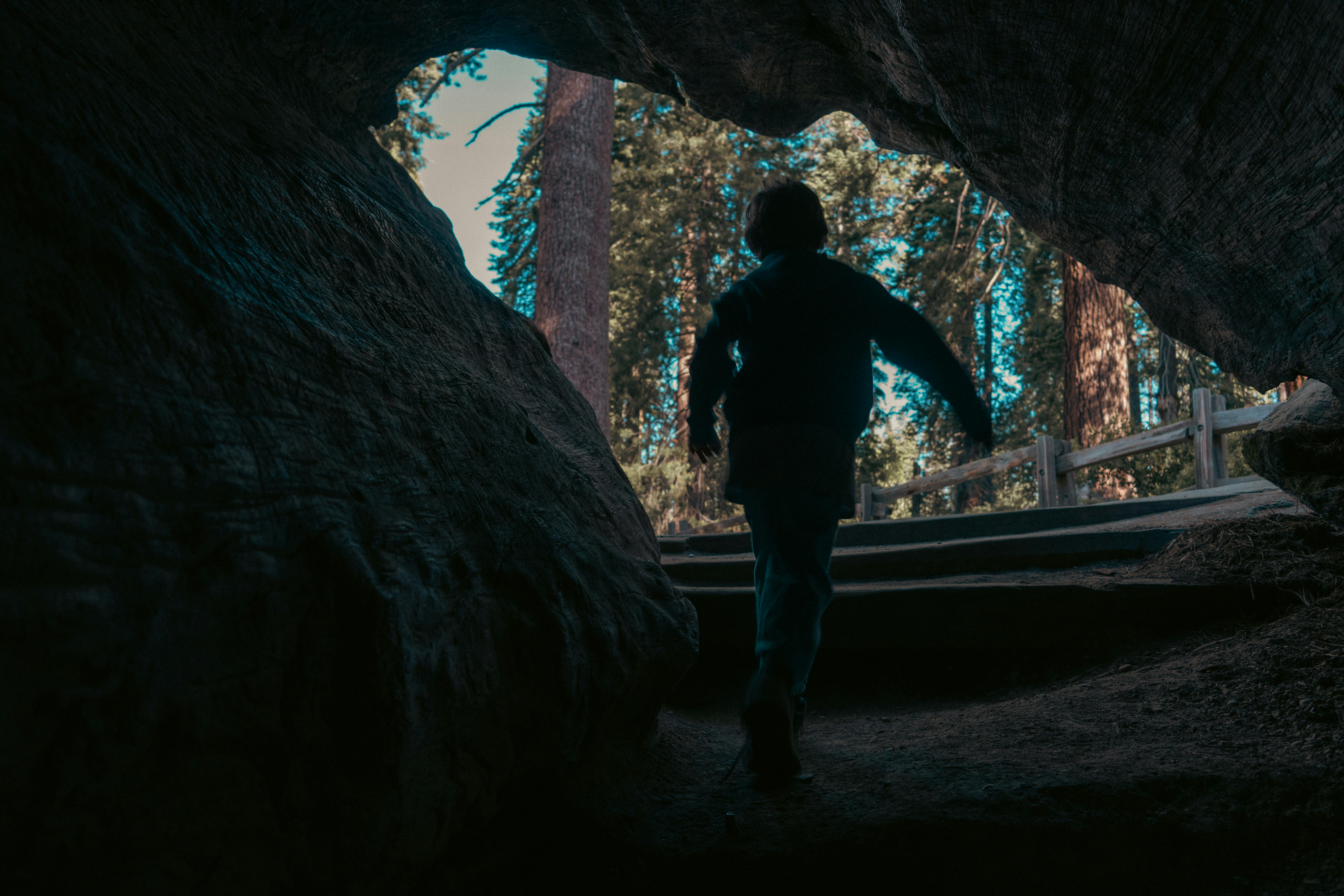 Exit from the Cave: A Runner Steps Toward the Forest Light
