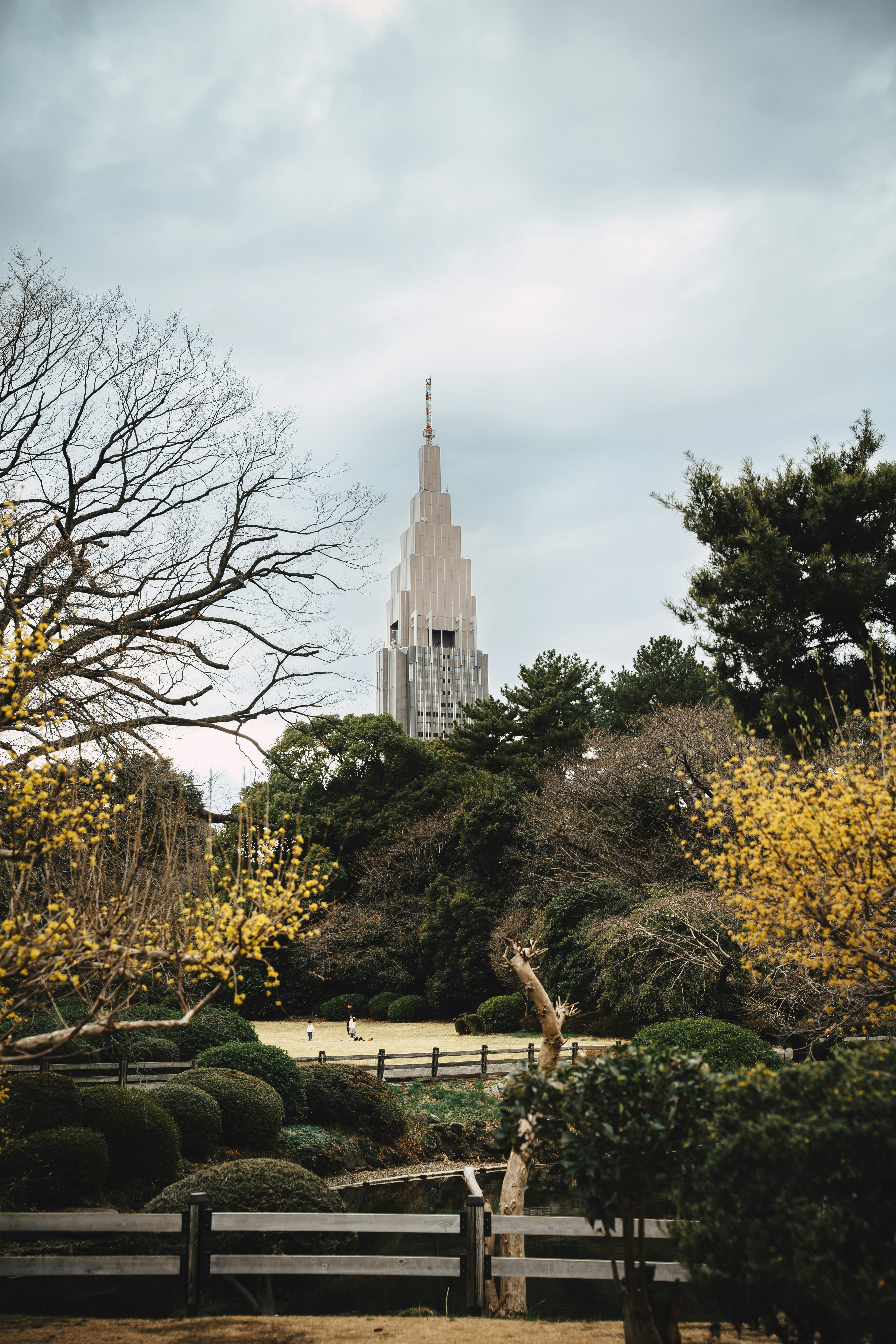 City Garden with Tower Spire at Distant Skyline