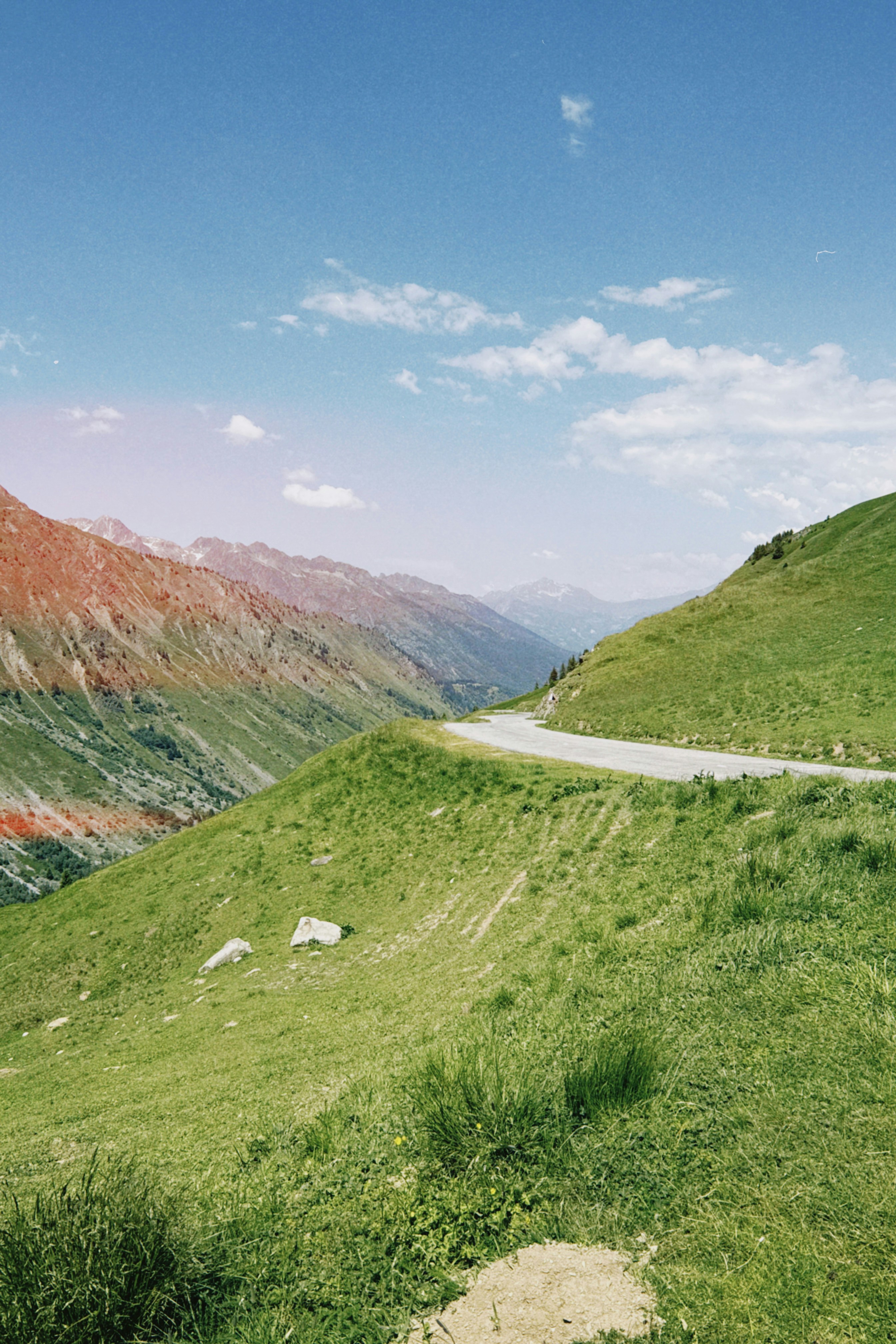 Trail to the Valley: A Winding Path Through Alpine Green