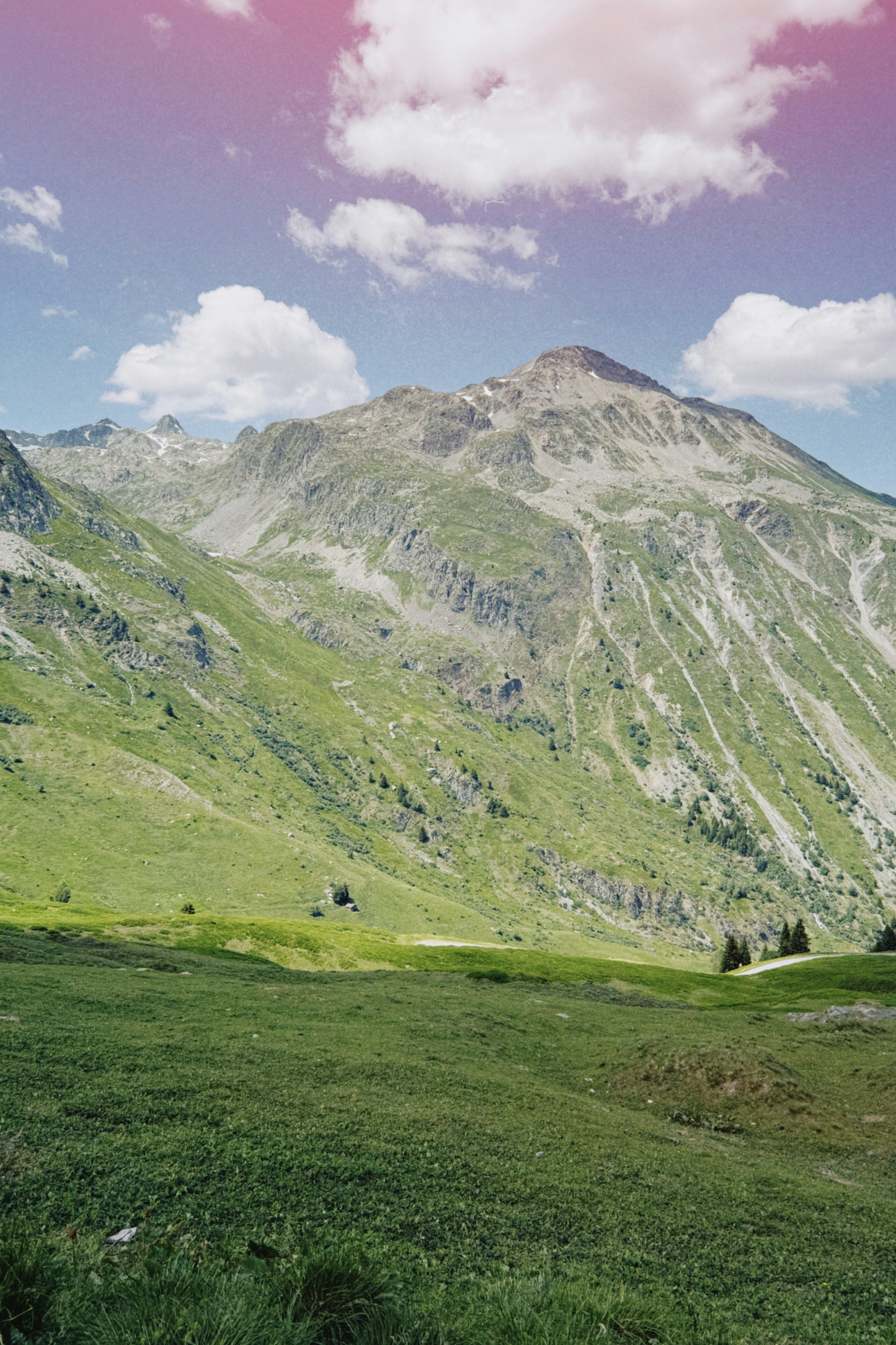 Pink-Trimmed Cloudcap Over Alpine Meadow