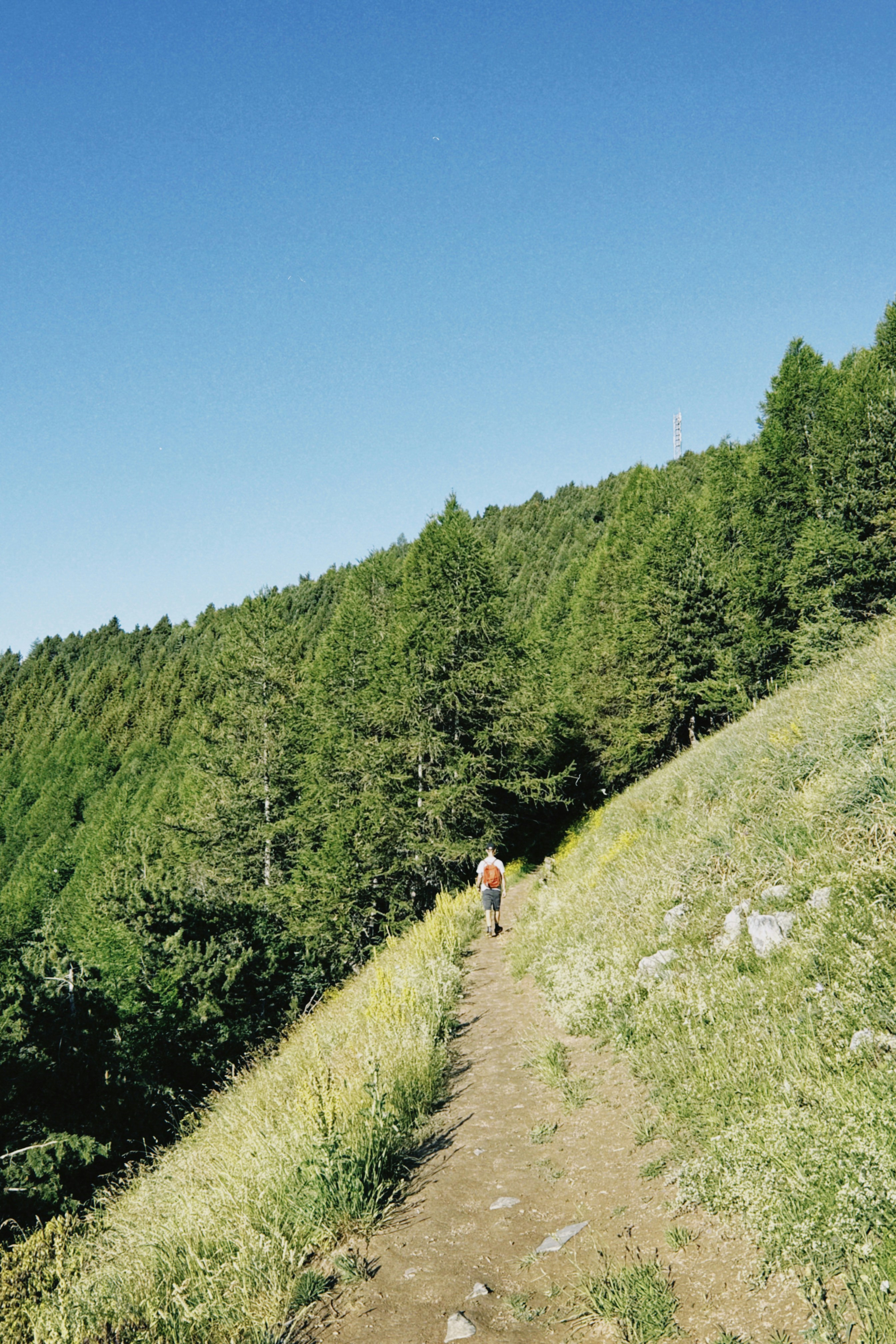 Hiker on a Narrow Trail Clinging to a Mountain Slope
