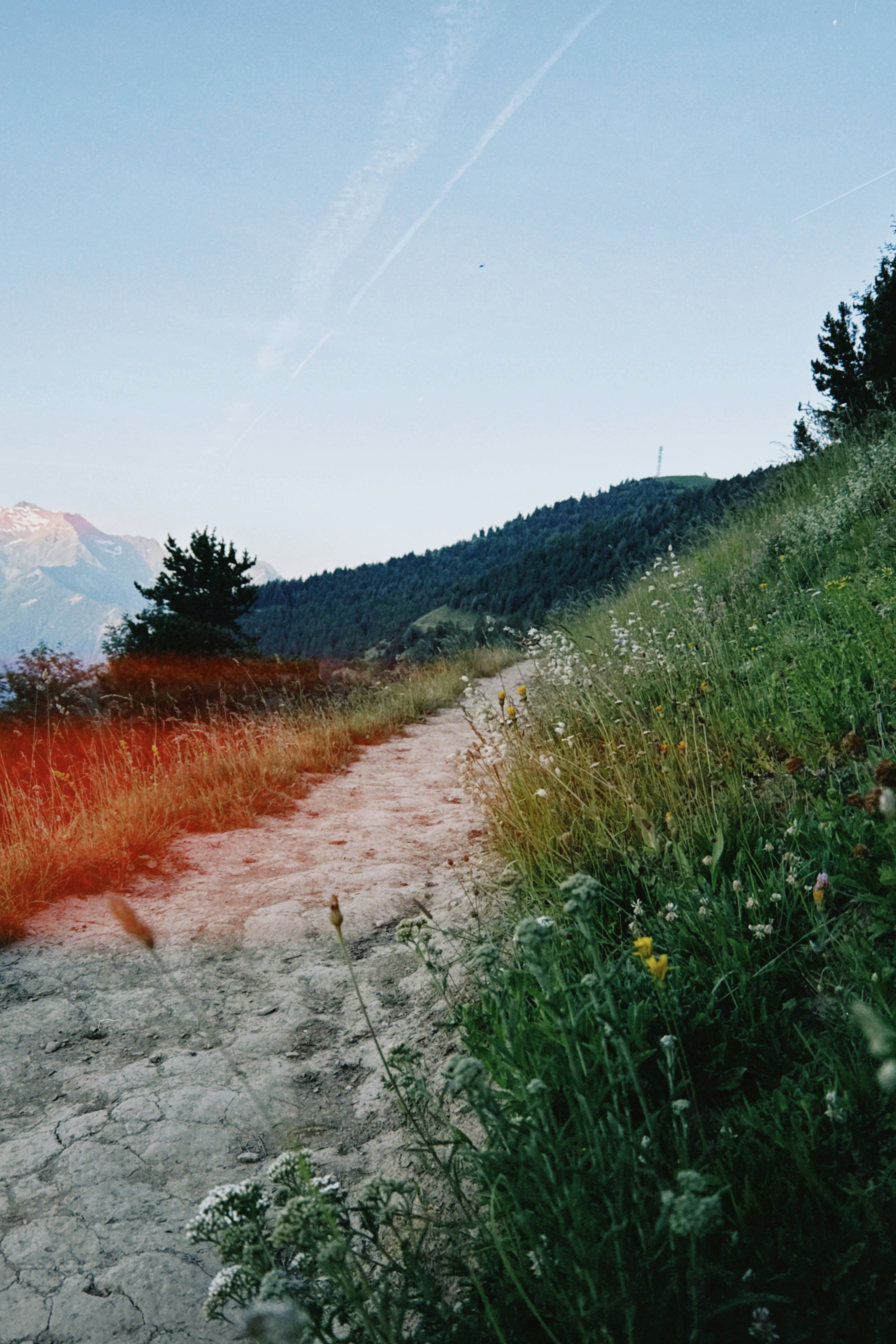 Trail to the Quiet Ridge