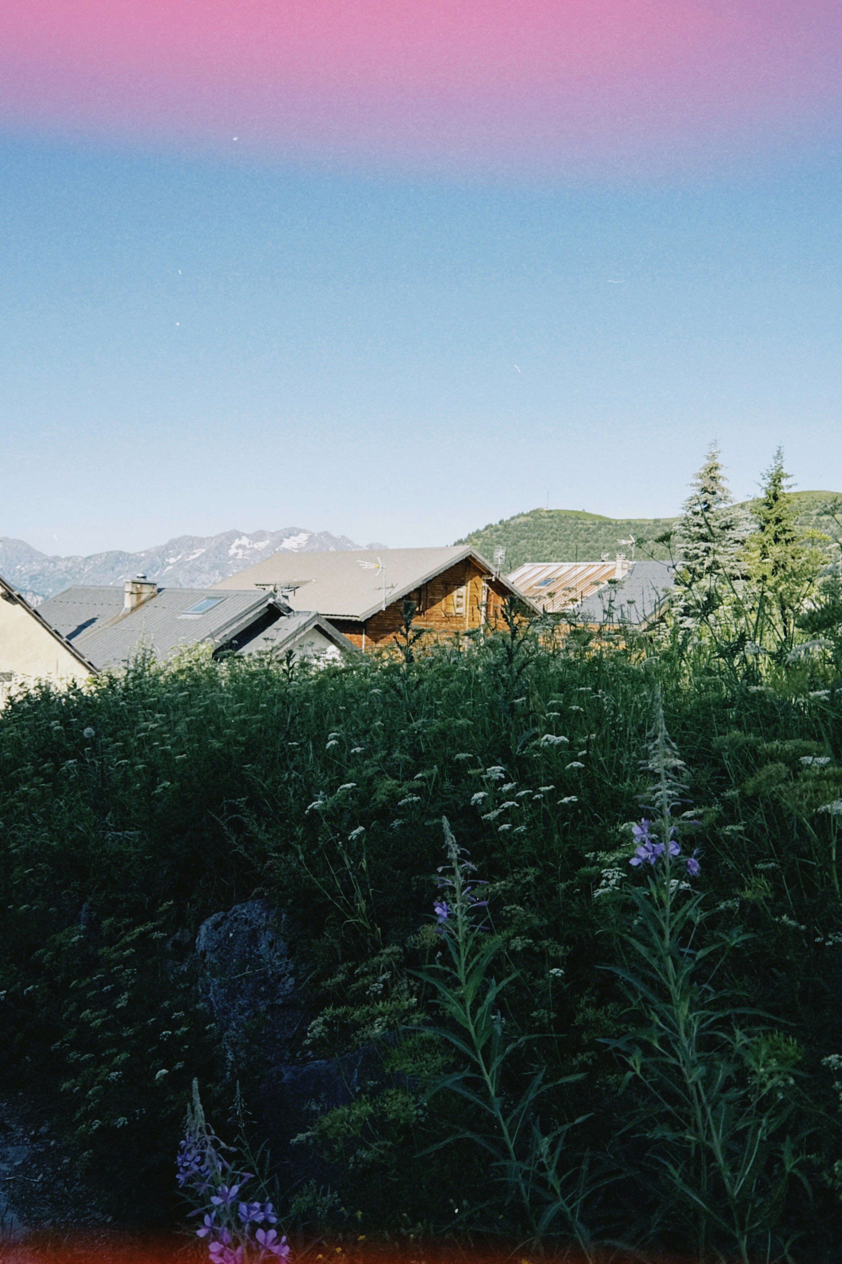 Dawn over alpine rooftops with wildflowers at the edge