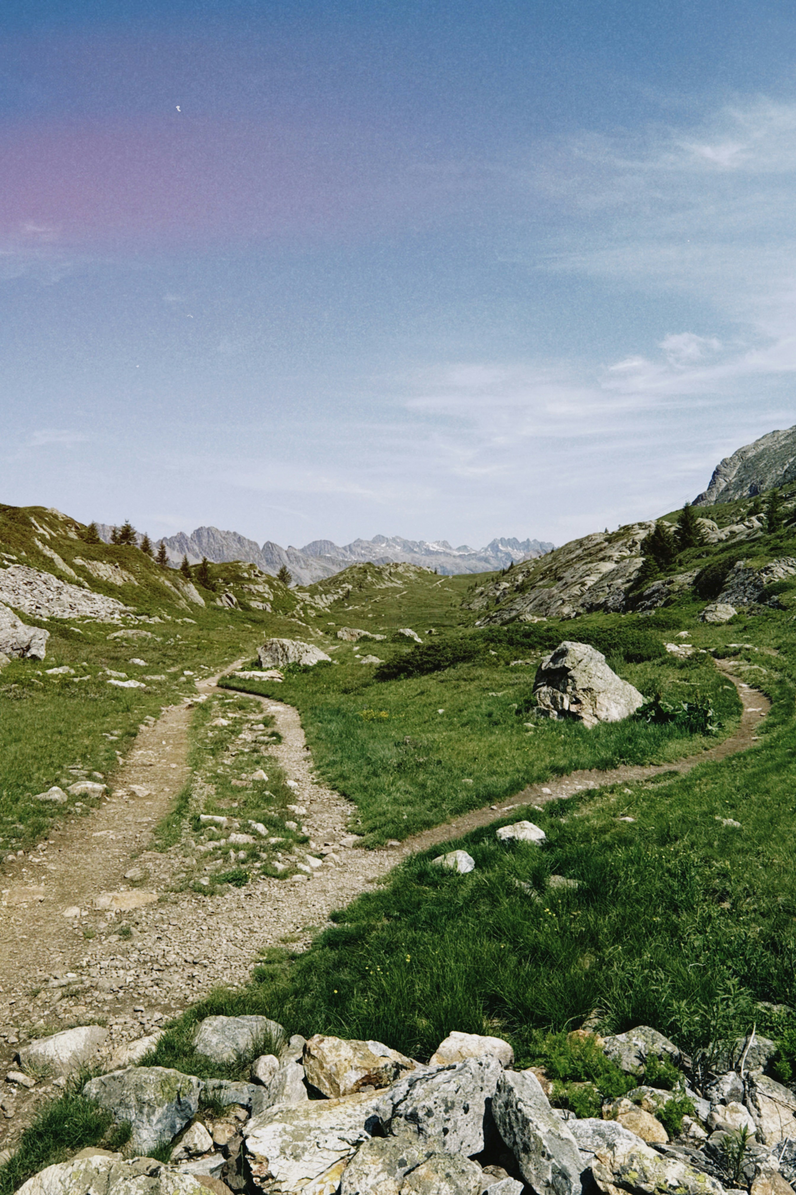 Trail through Alpine Meadow Toward Distant Peaks