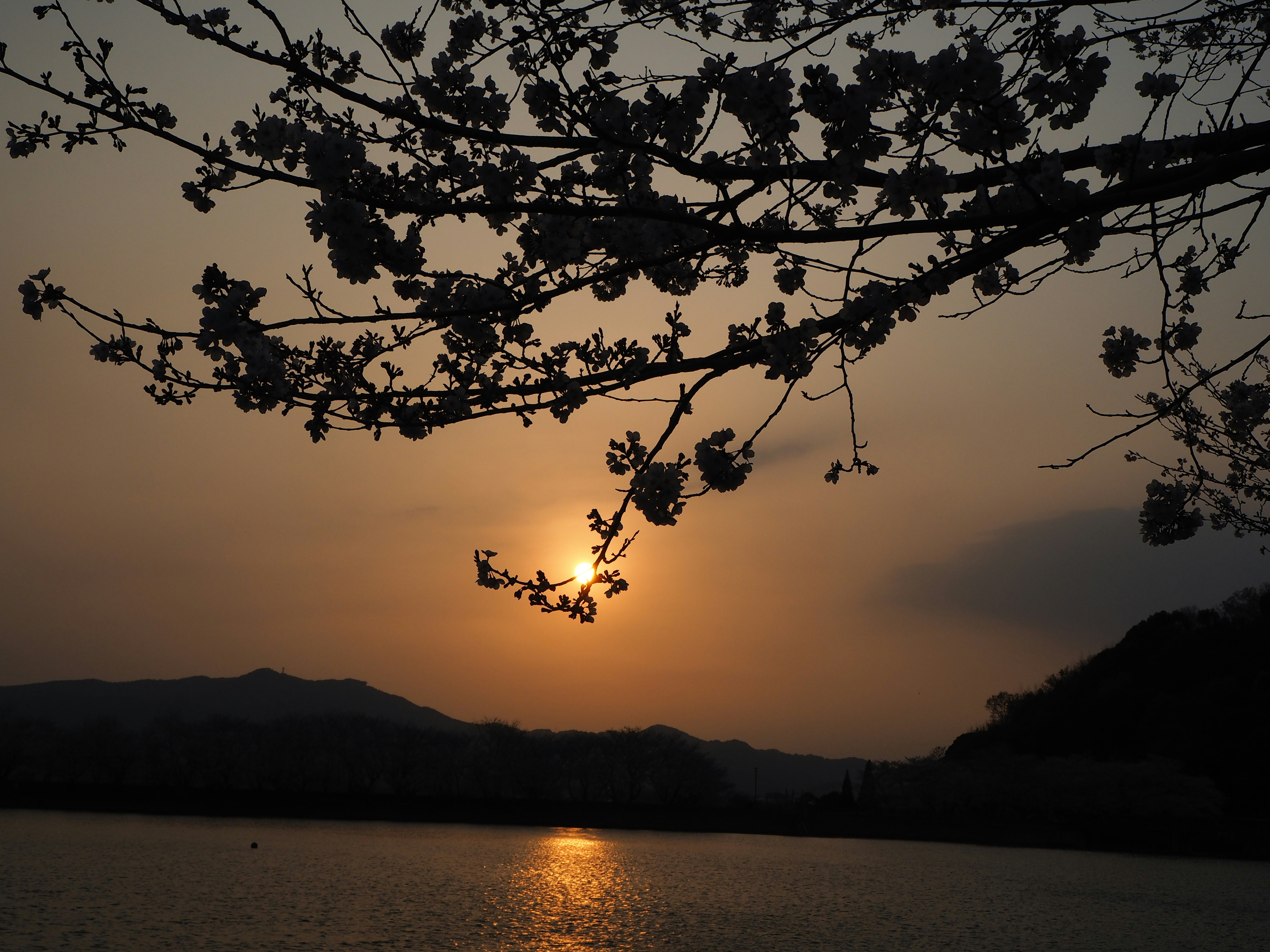 Warm sunset over a calm lake with silhouetted tree branches in the foreground and distant hills; emphasizes the horizon glow and tranquil mood.