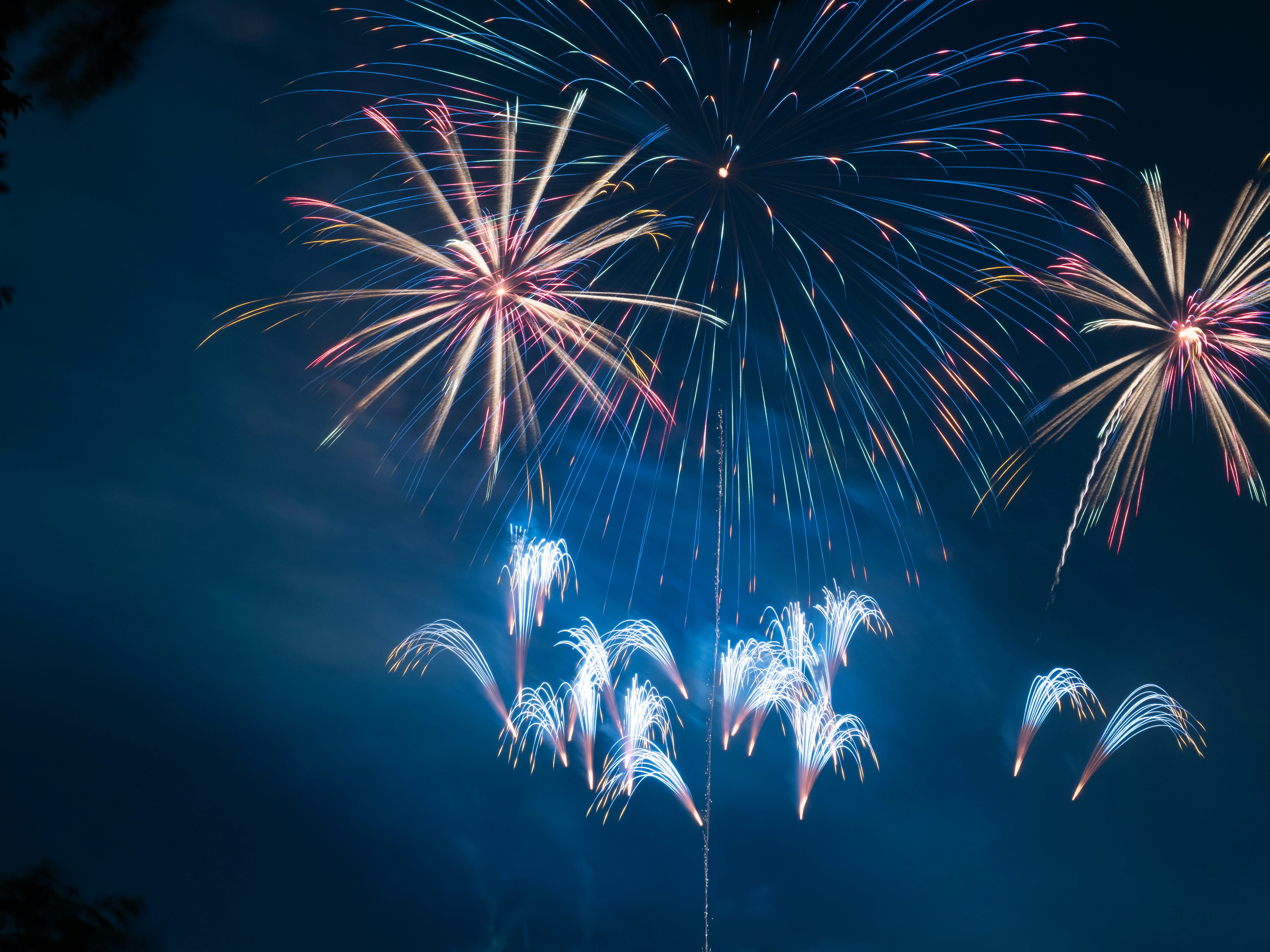 Fireworks Bloom Across a Night Sky Over a Suburban Quiet
