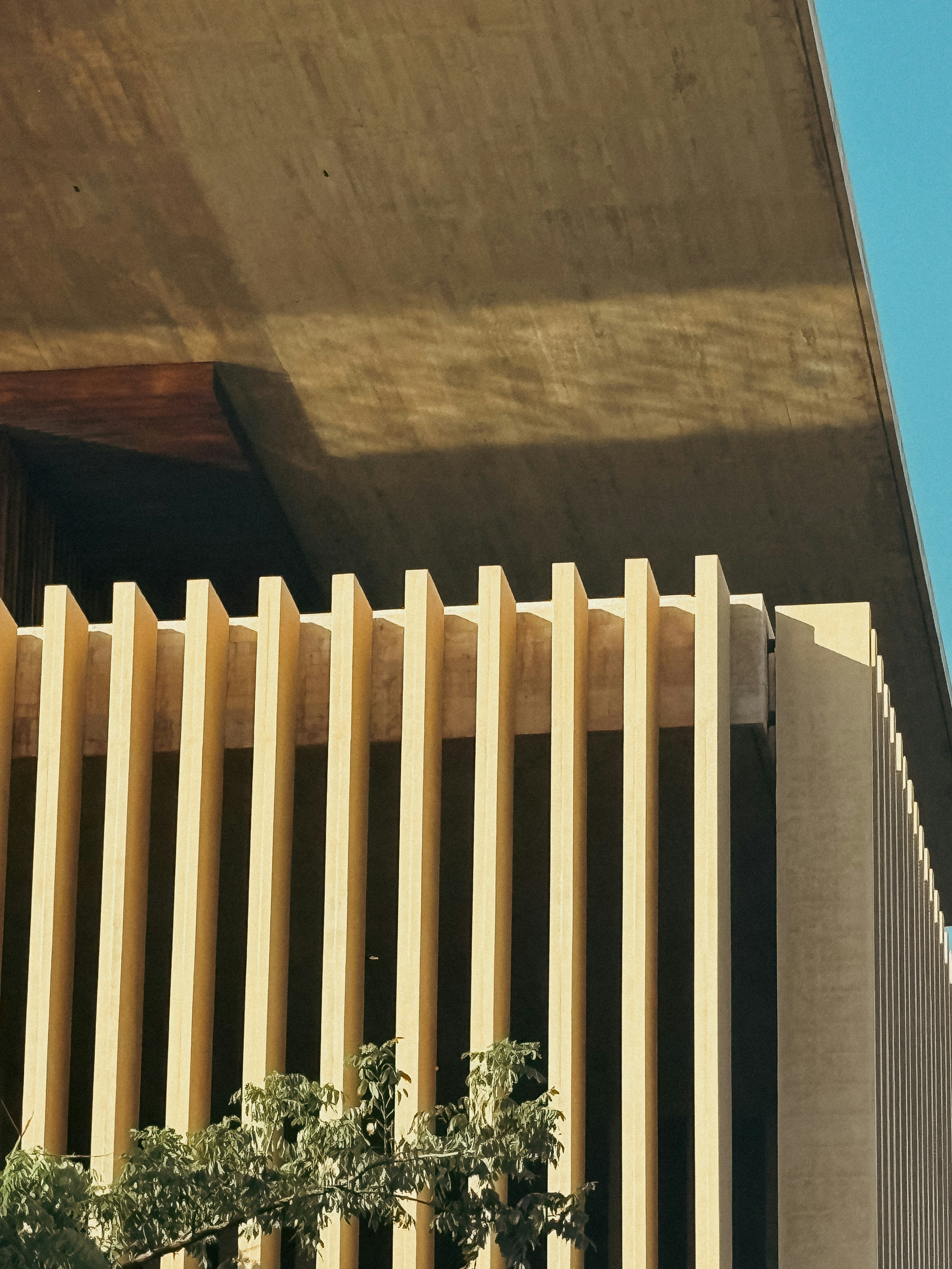 Vertical Slats and Deep Shadows of Modern Architecture