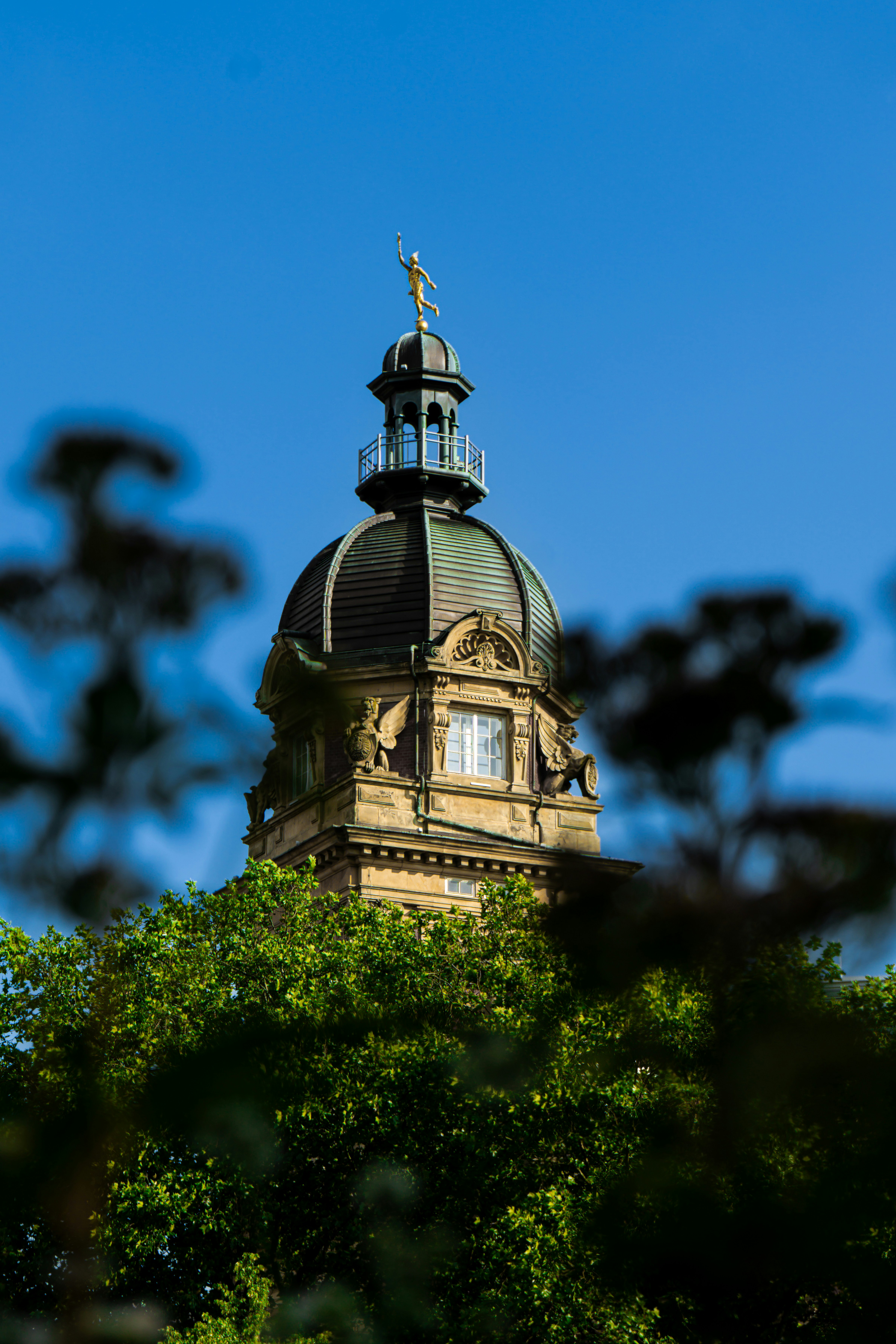 Towering Dome above the Green Canopy