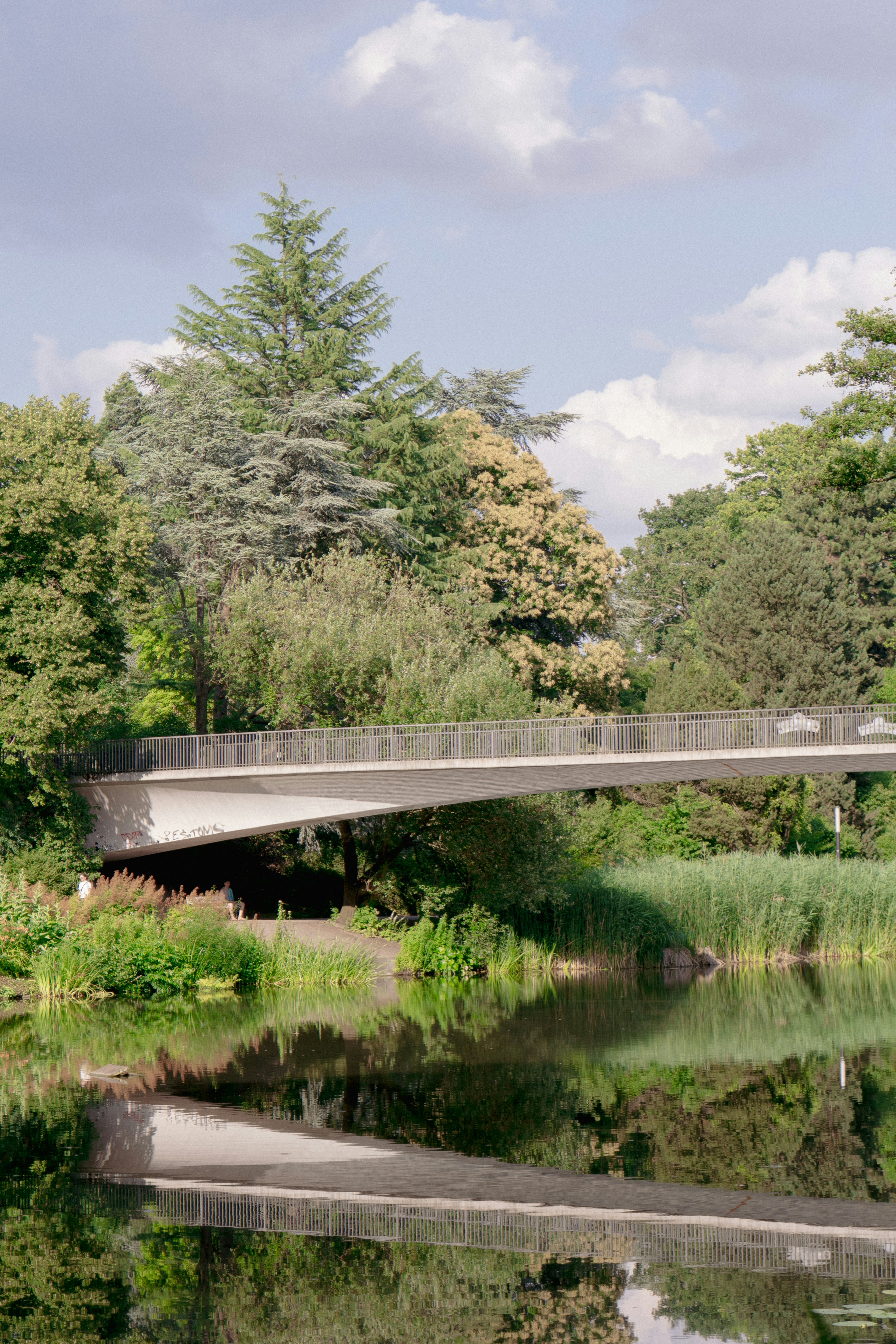 Serene Riverside Bridge Framed by Autumnal Trees