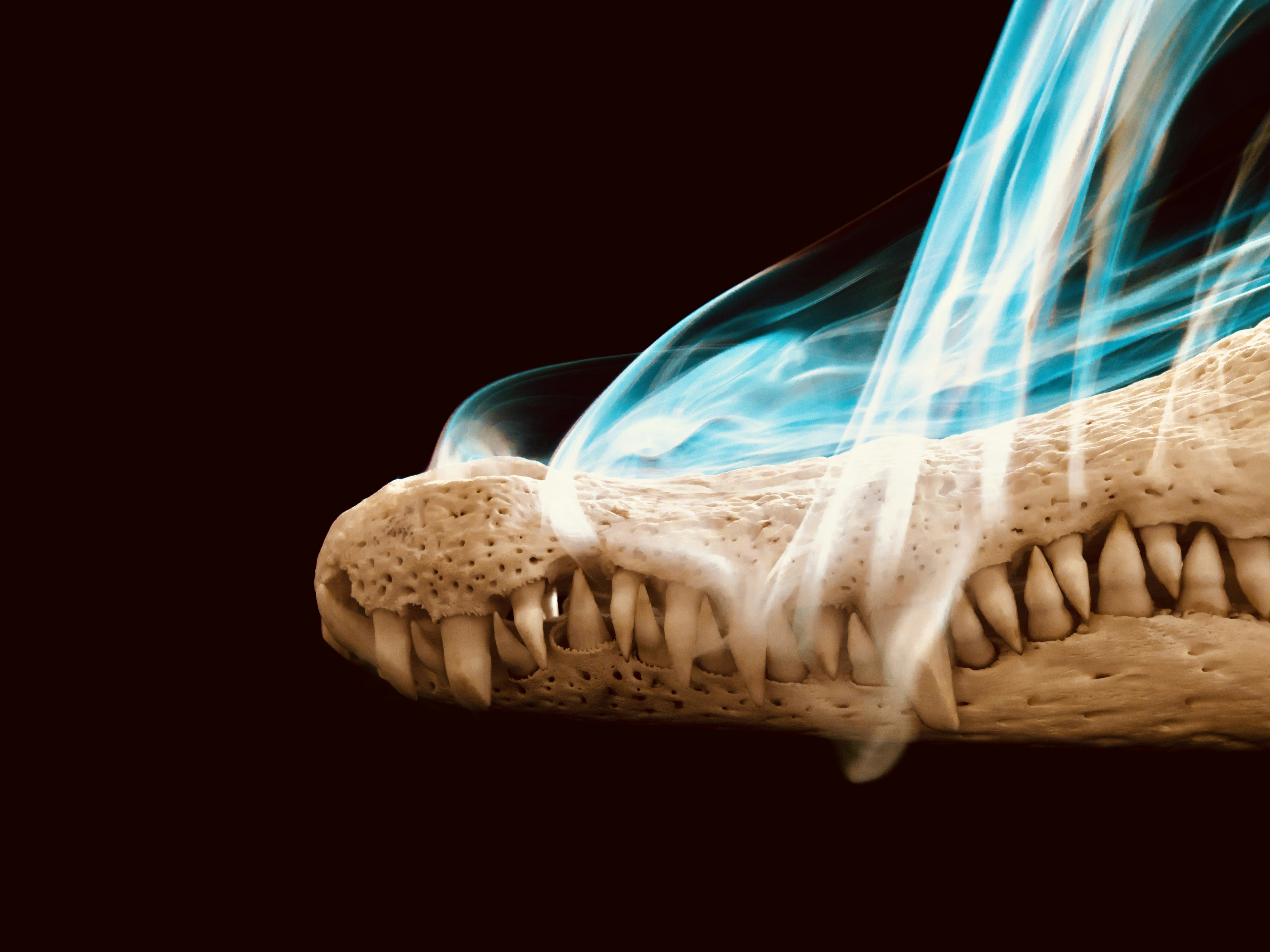 Inferno in Teeth: Flaming Shard of Jaw Under Neon Strains