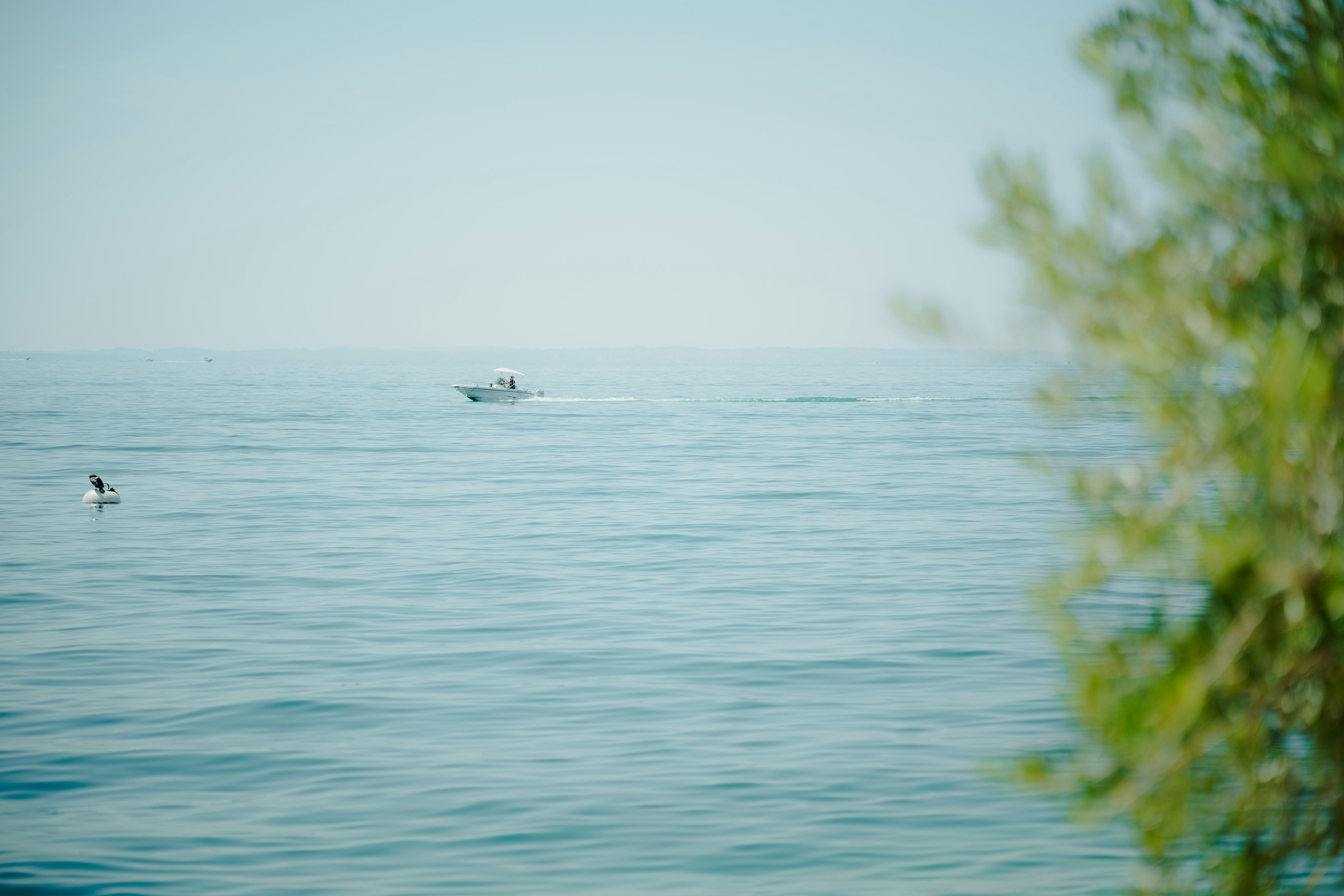 Mist over the Sea: A Lone Boat Crossing the Quiet Horizon