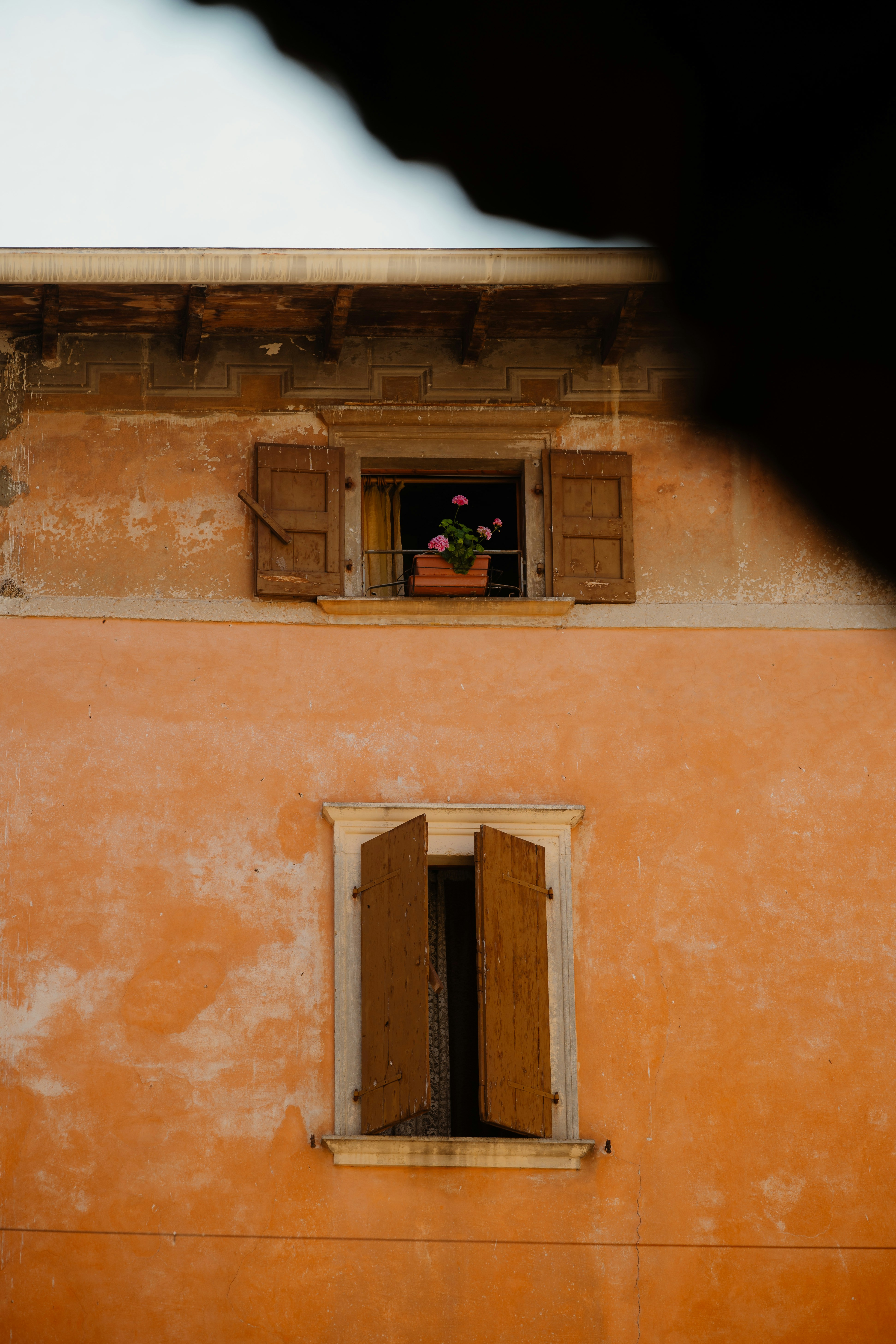 Blooms Behind Wood: A Windowed Moment on Weathered Orange Facade