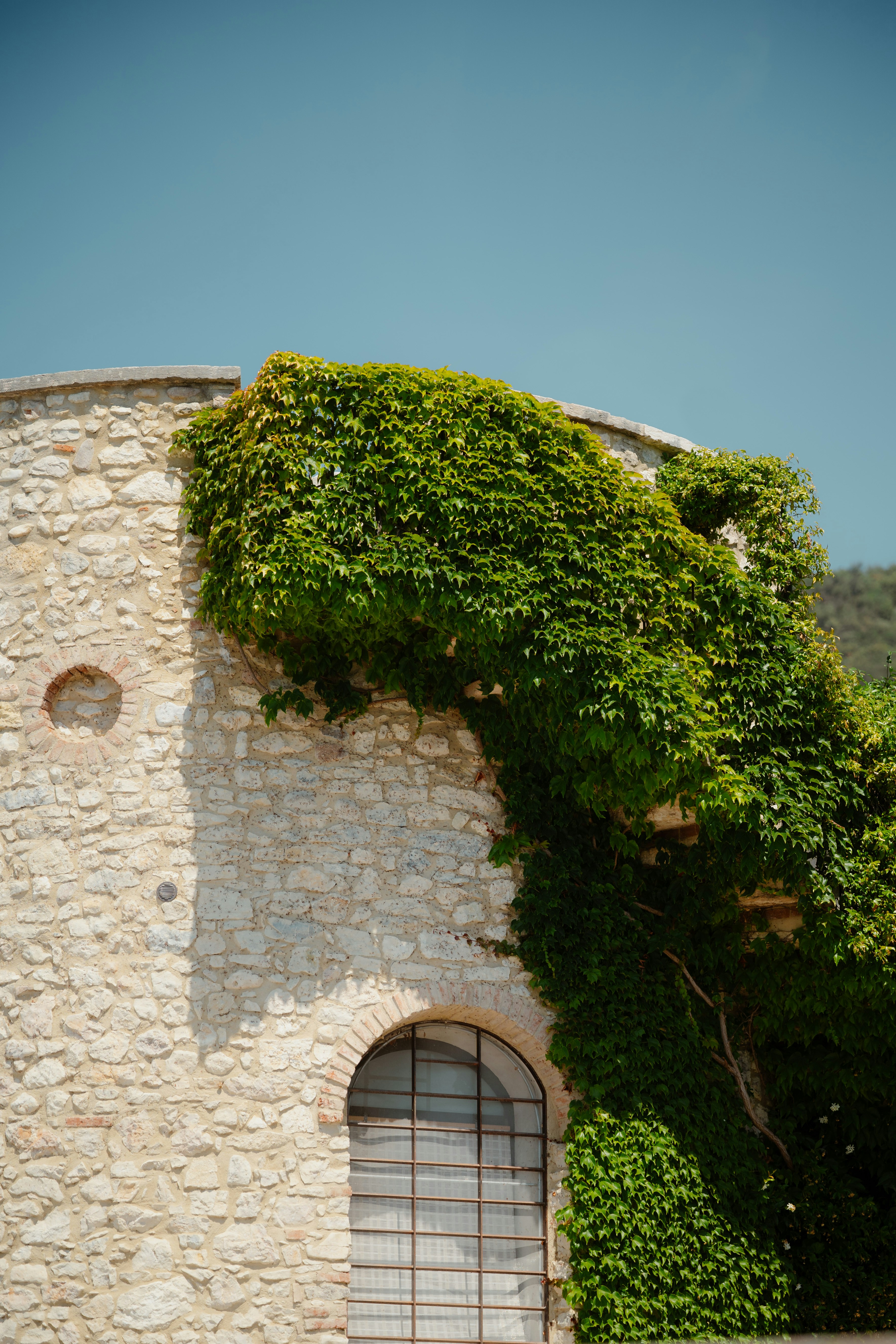 Stone Wall Embrace: Ivy-Clad Turret Under a Clear Sky