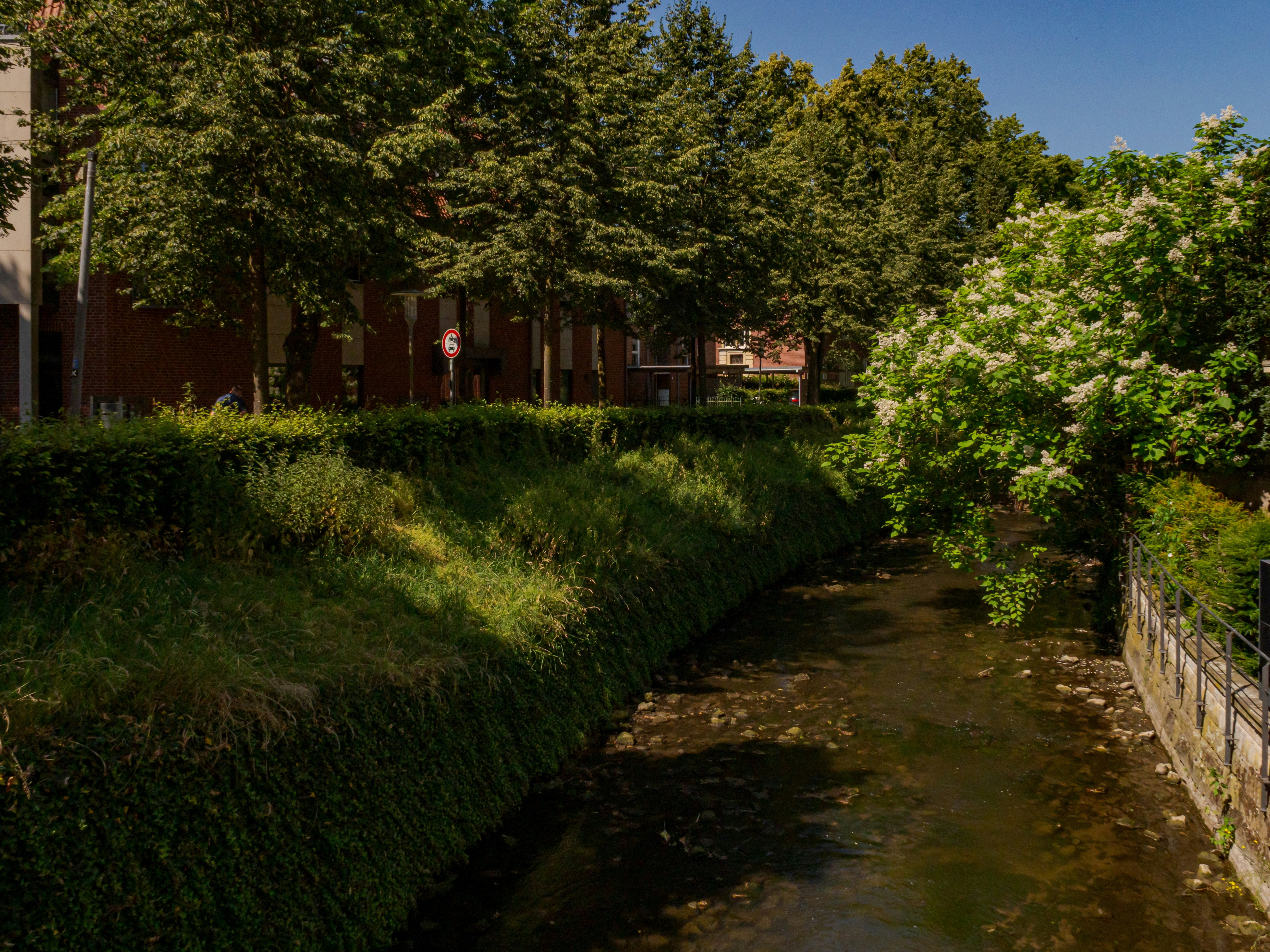 Quiet Riverside span: sunlit greenery over a tranquil canal
