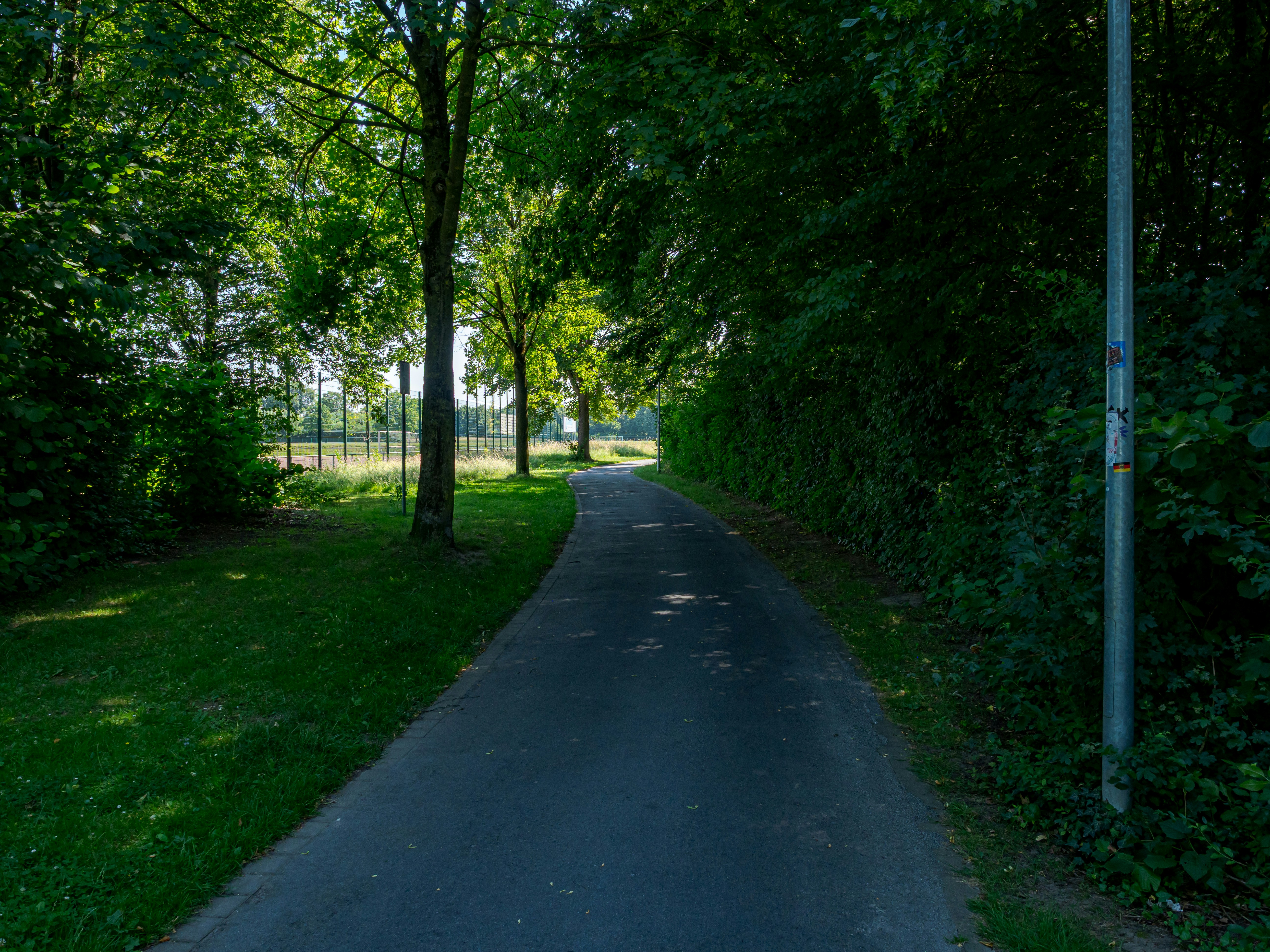 Quiet Pavement Through a Green Corridor