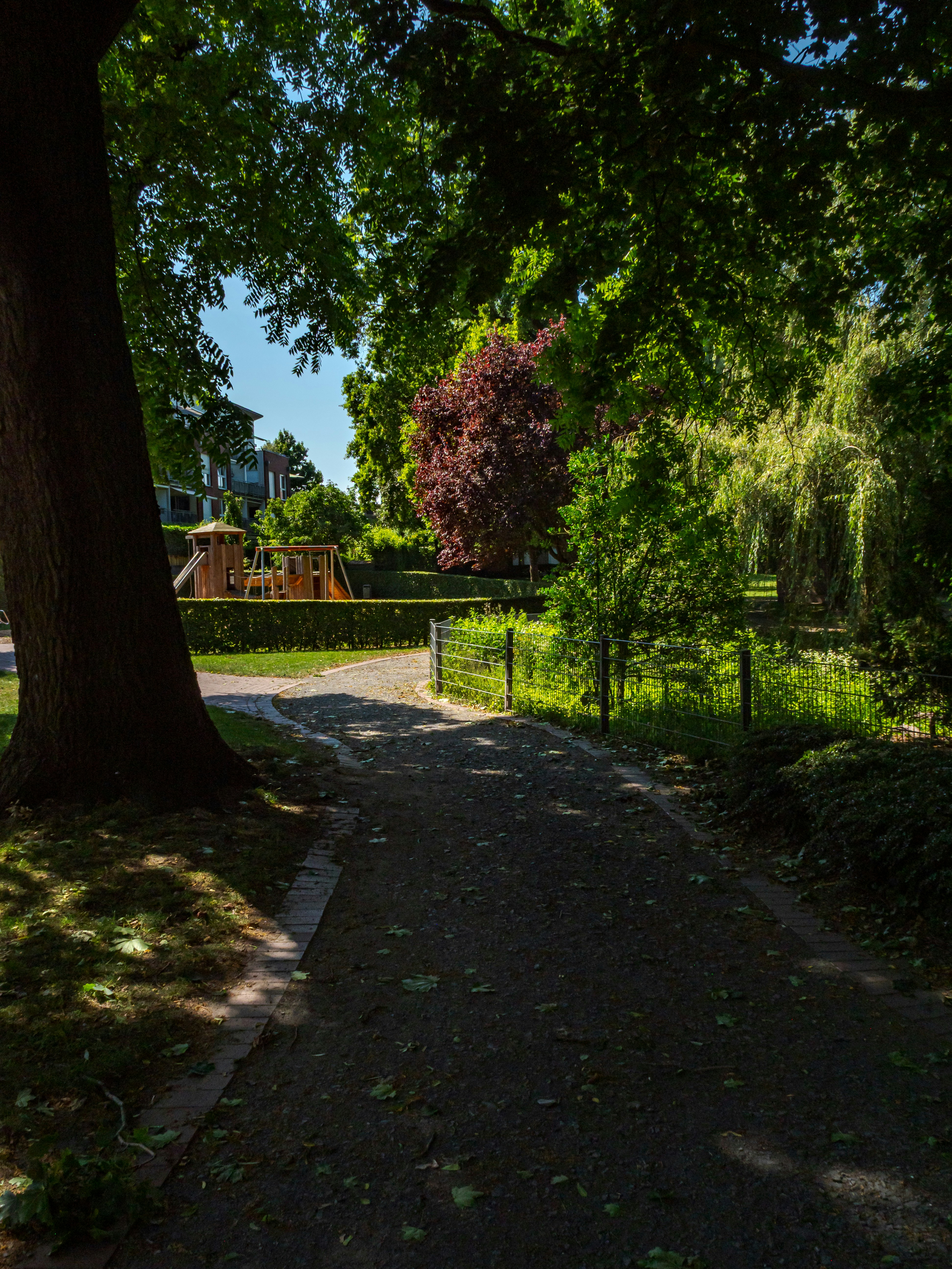 Shaded Path Toward the Sunlit Clearing