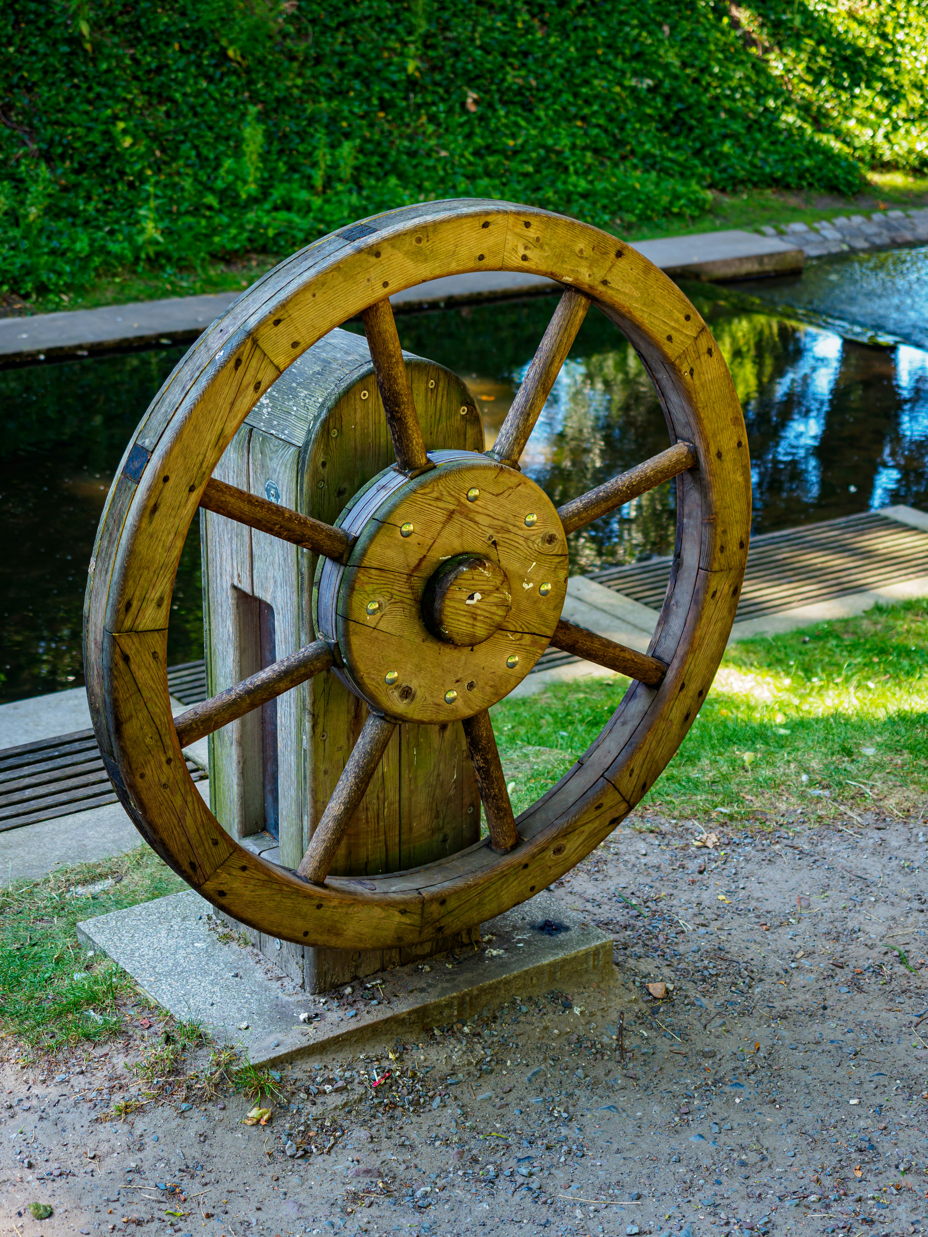 Wooden Ship Wheel Guarded by Green Canopy by a Riverside Path