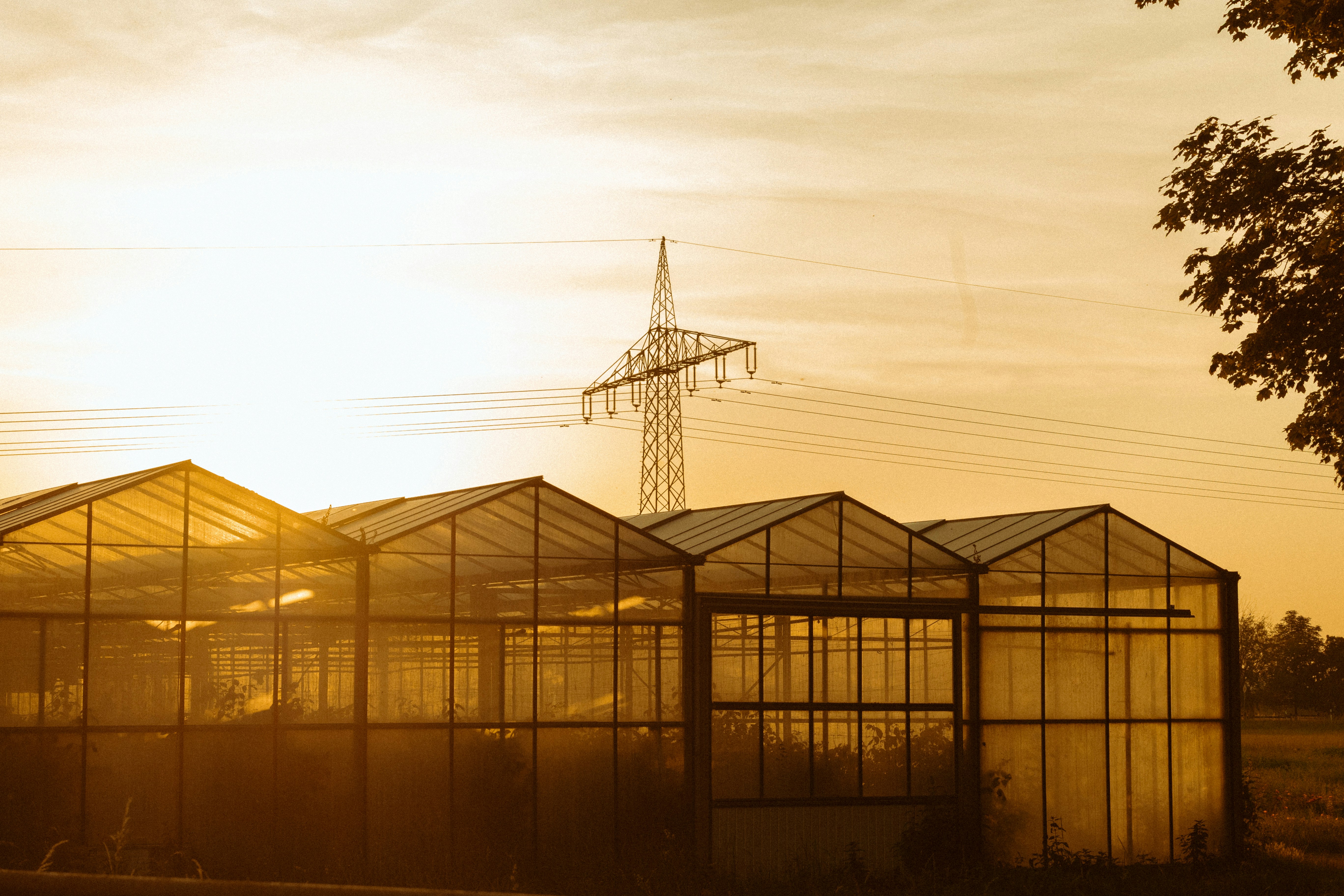 Sunlit Greenhouse Silhouette at Dusk