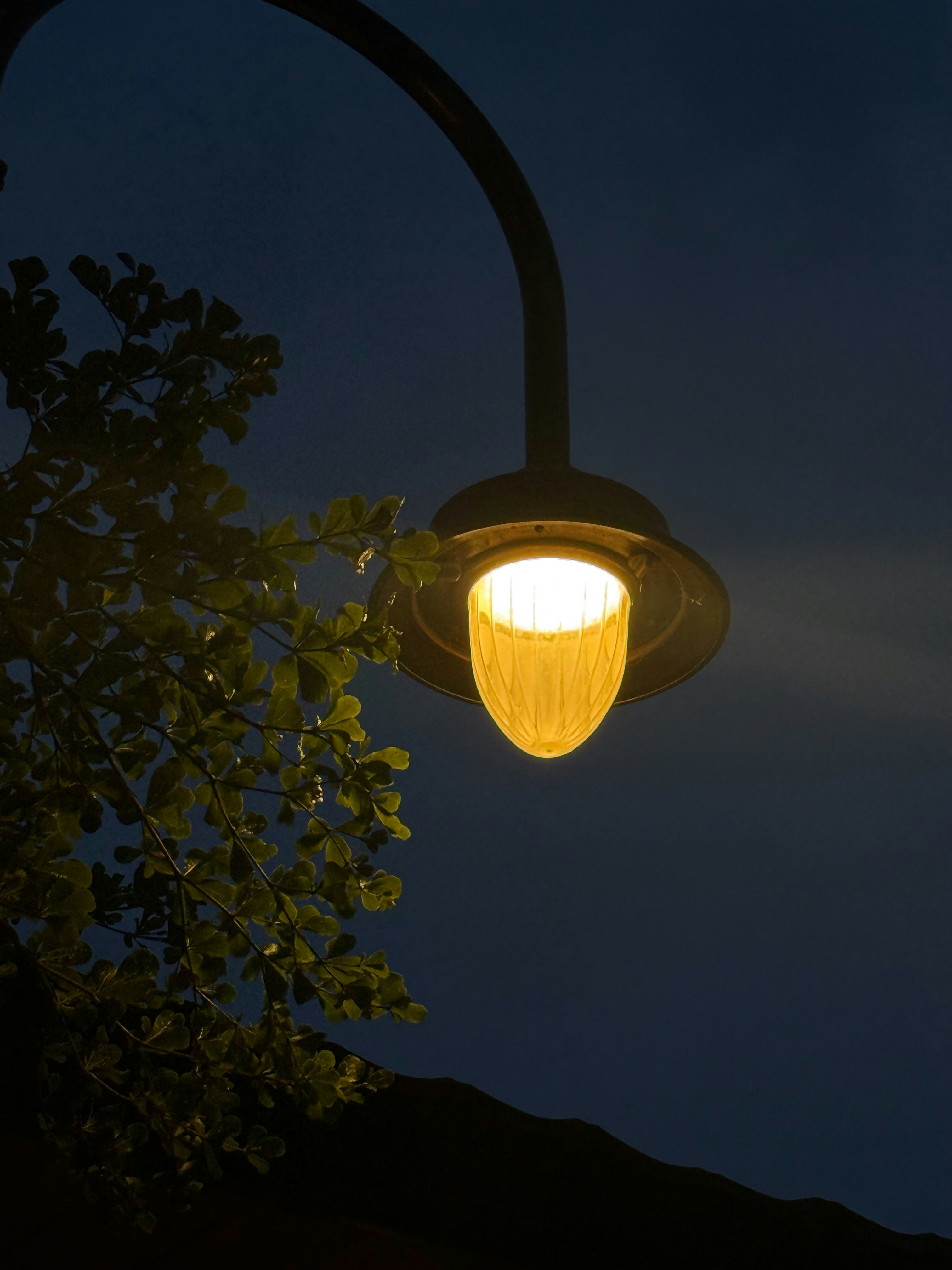 A glowing street lamp hangs against a dark evening sky, with leafy branches silhouetted along the left edge, creating a tranquil urban vignette.