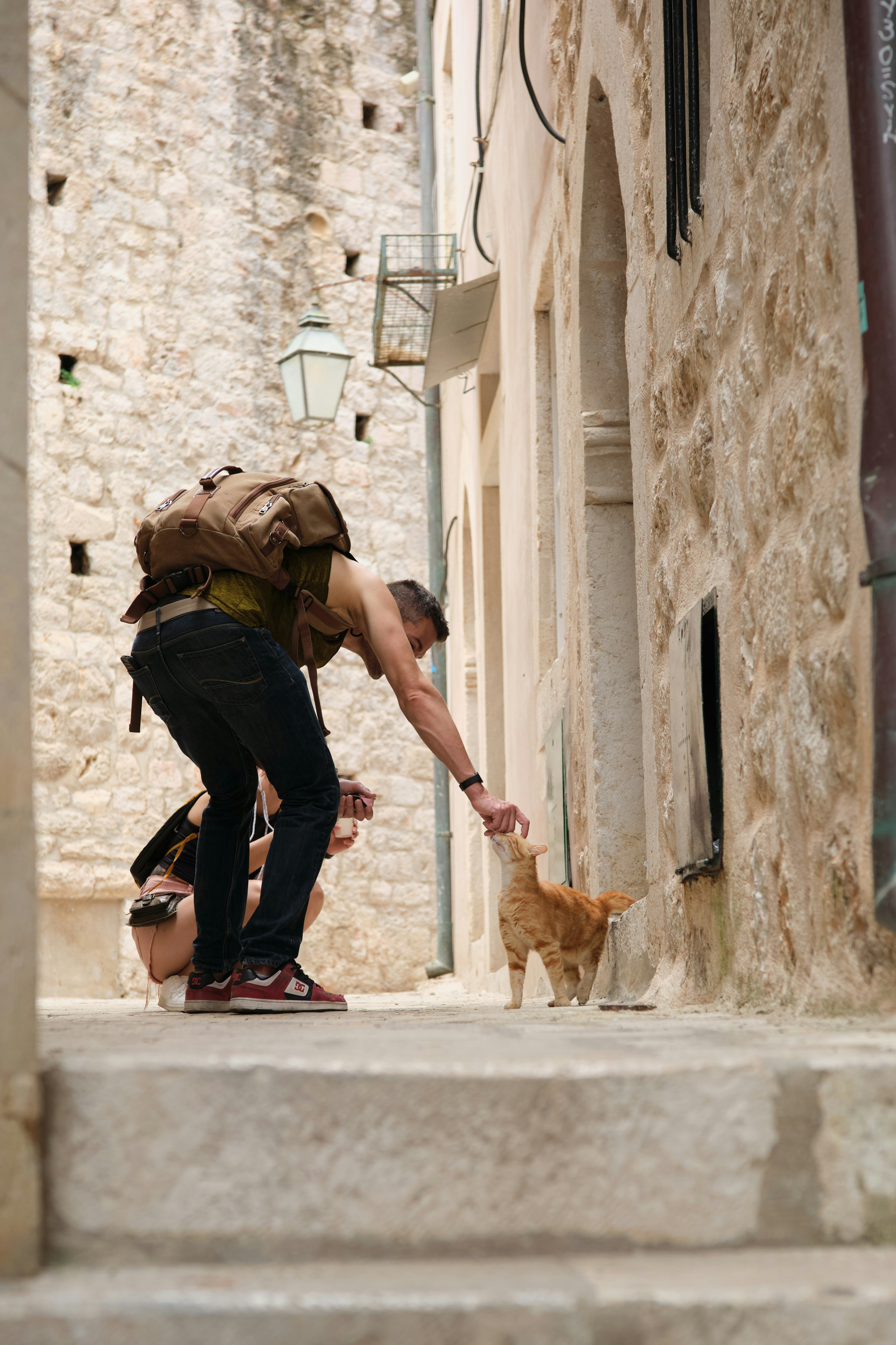 Cat in the Alley: A Gentle Hand Reaches to a Sunny Street Cat