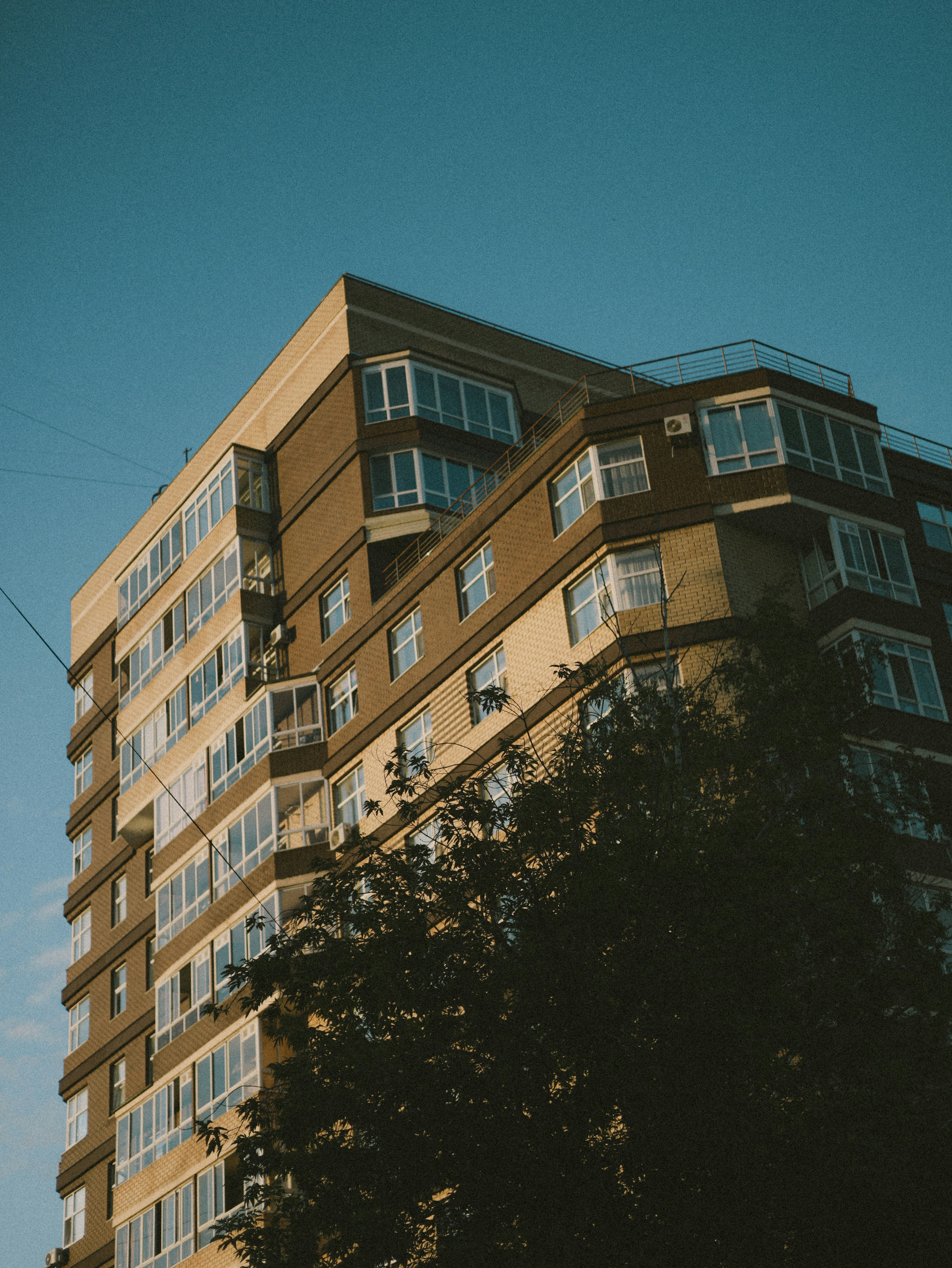 Brick residential building bathed in warm late-afternoon sun with a dense canopy of trees at the base.