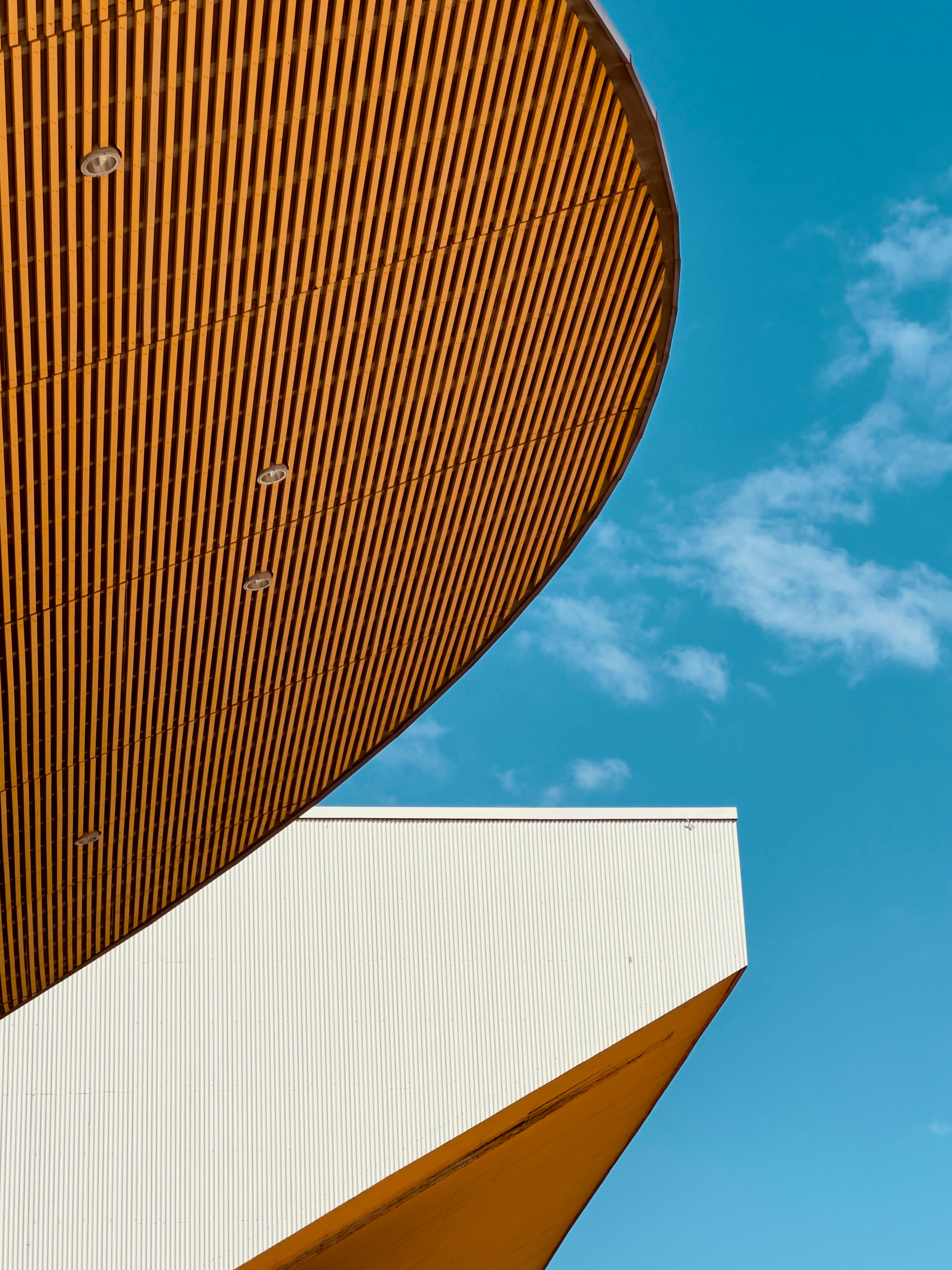 Curved wooden canopy meeting sky: architectural geometry in profile