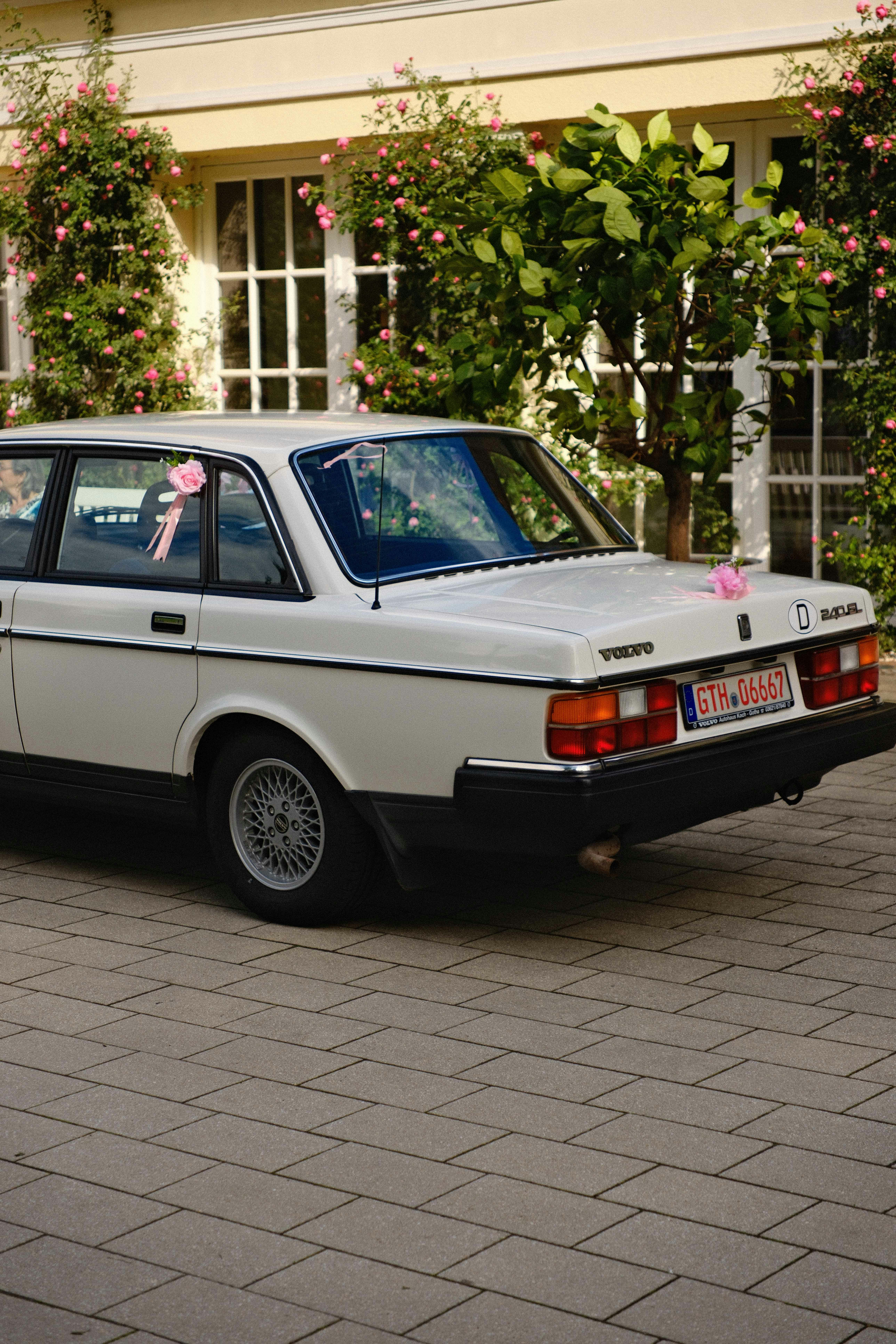 Vintage Volvo in Bloom: A Car Beside a Rose Avenue
