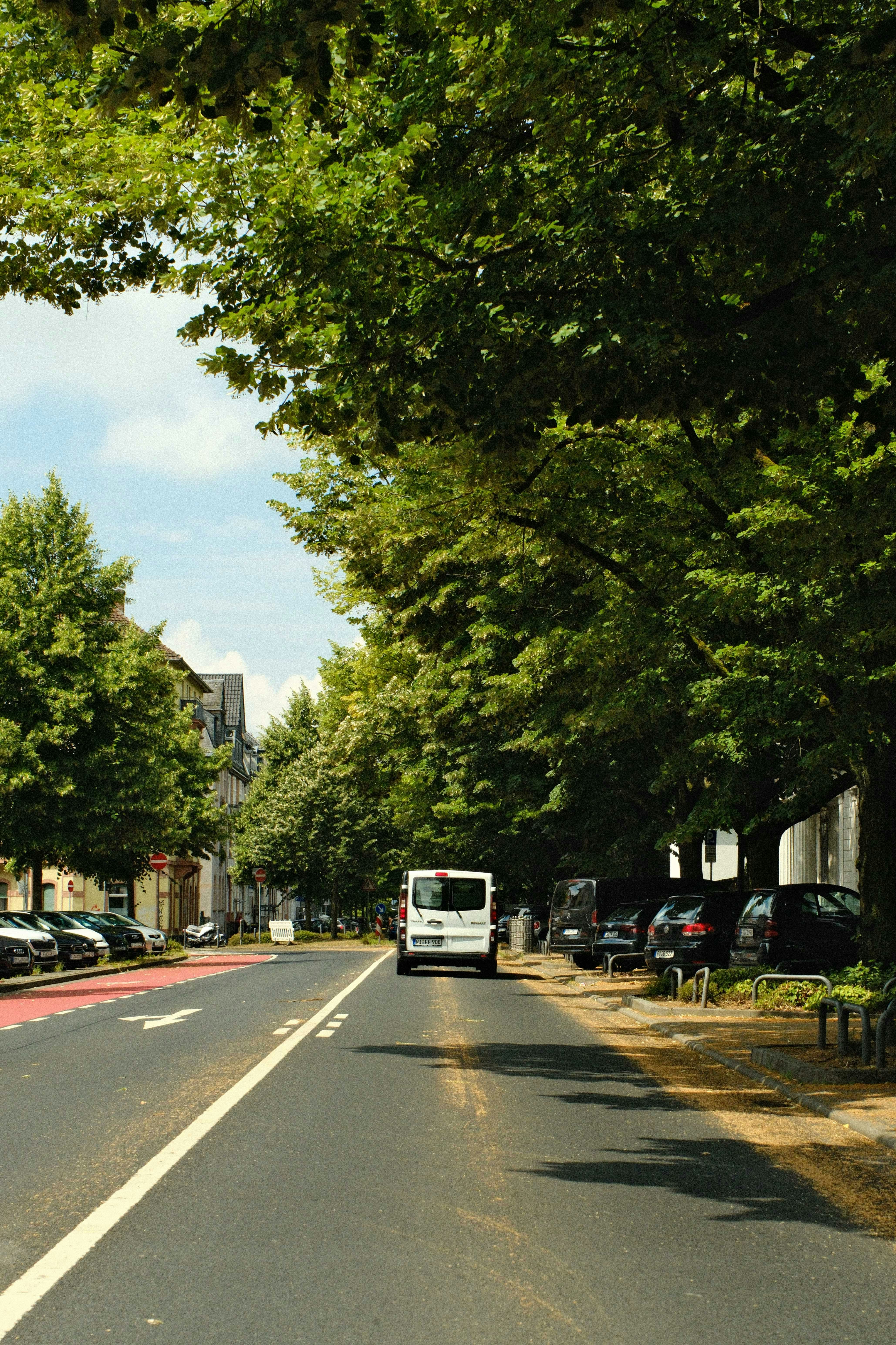 Tree-Canopied Street Seascape: A Quiet City Boulevard
