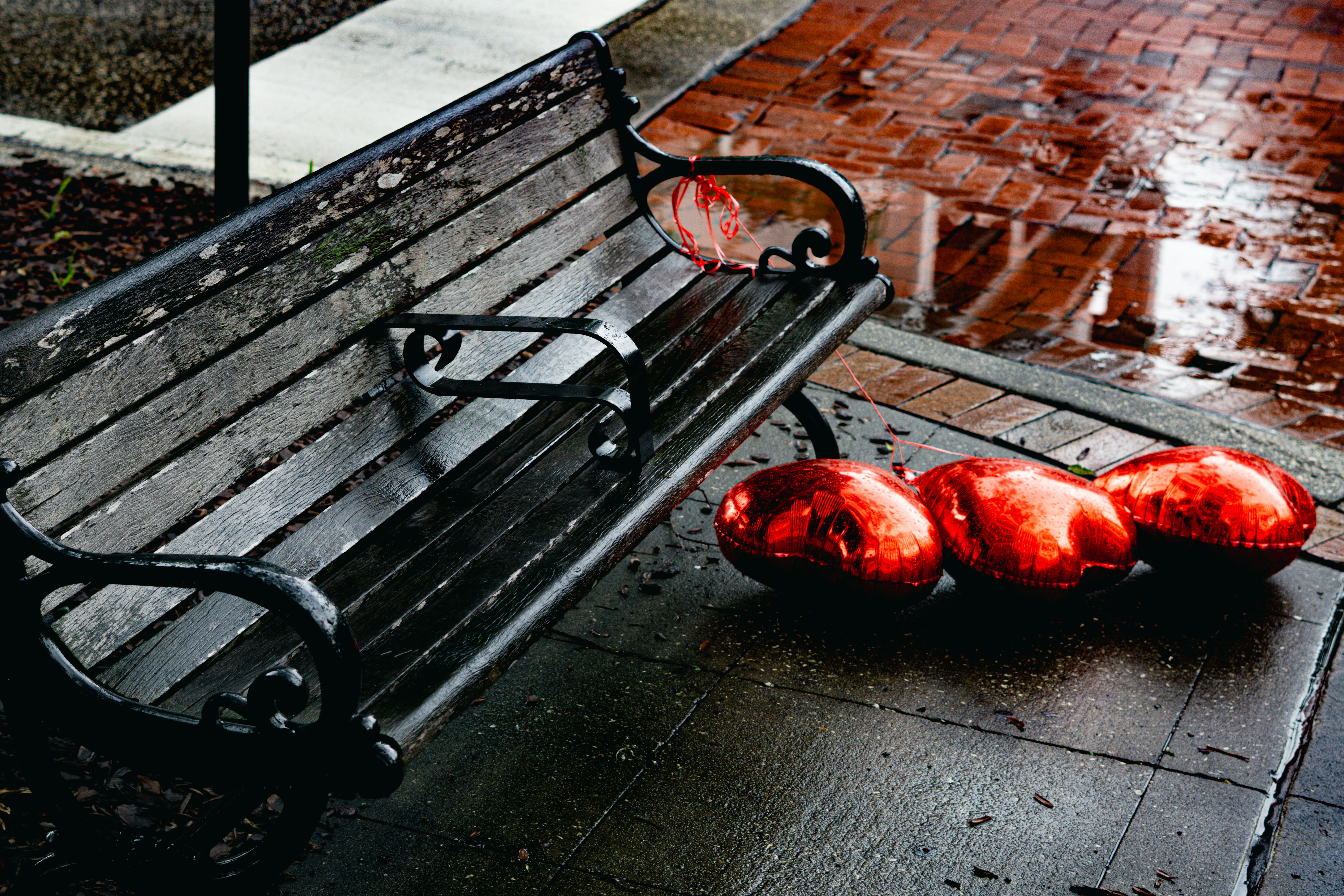 Rain-kissed bench and clustered red onions on a slick sidewalk