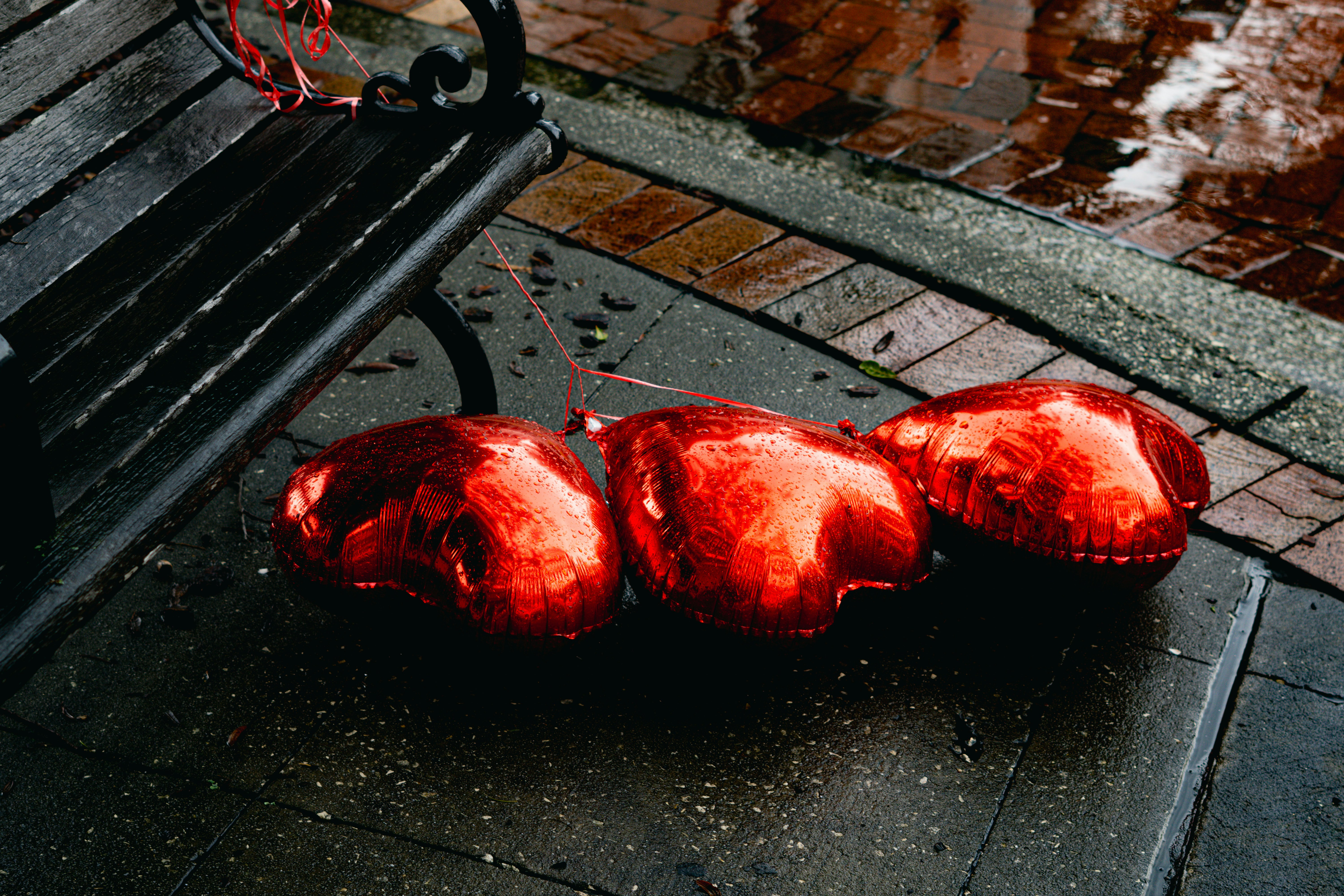 Three Red Hearts on a Wet Bench After Rain