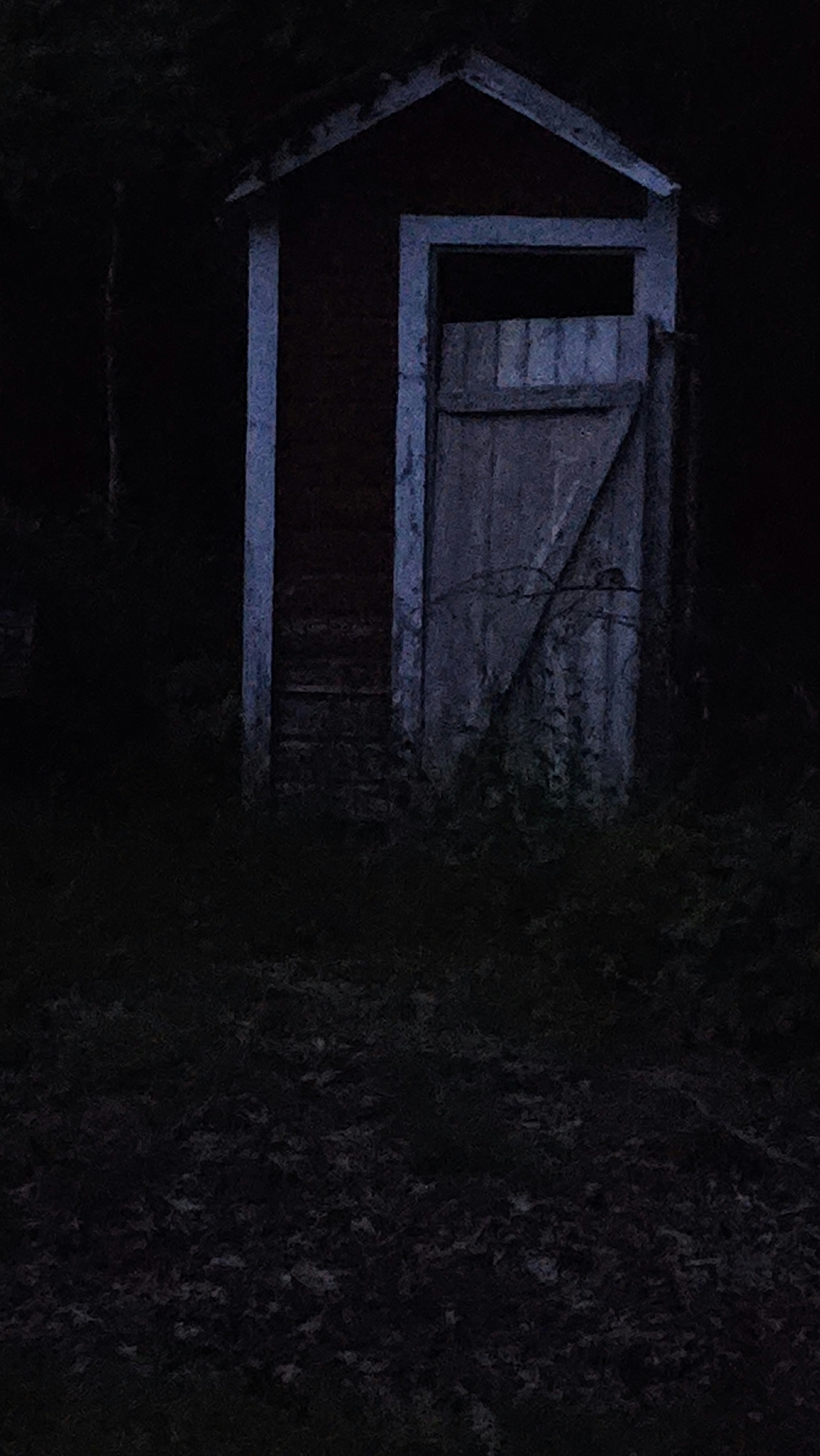 Moonlit Shambles: A Desolate Shed Hidden in the Night