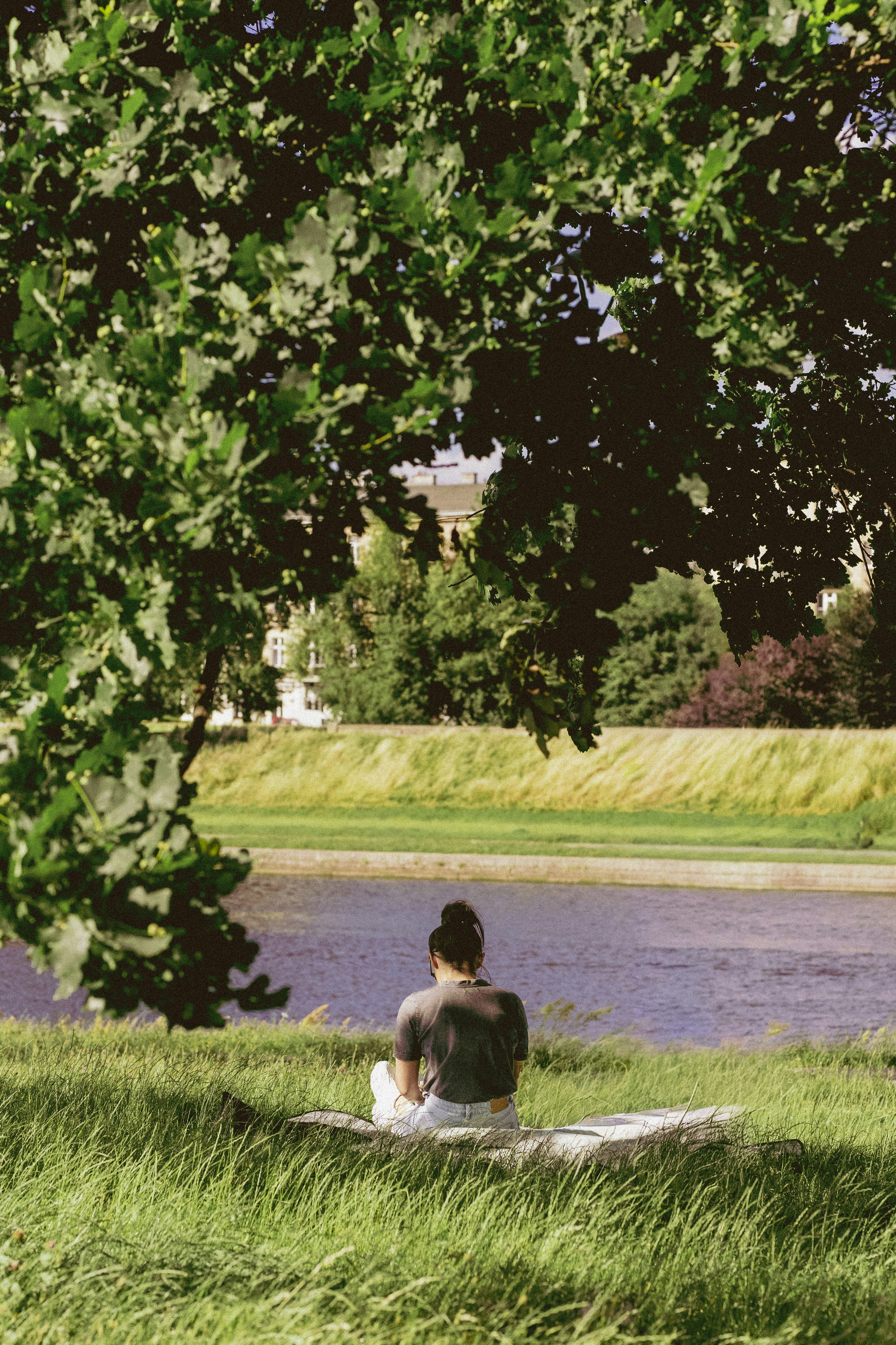 Quiet Moment by the Riverbank: A Manatee of Light and Calm