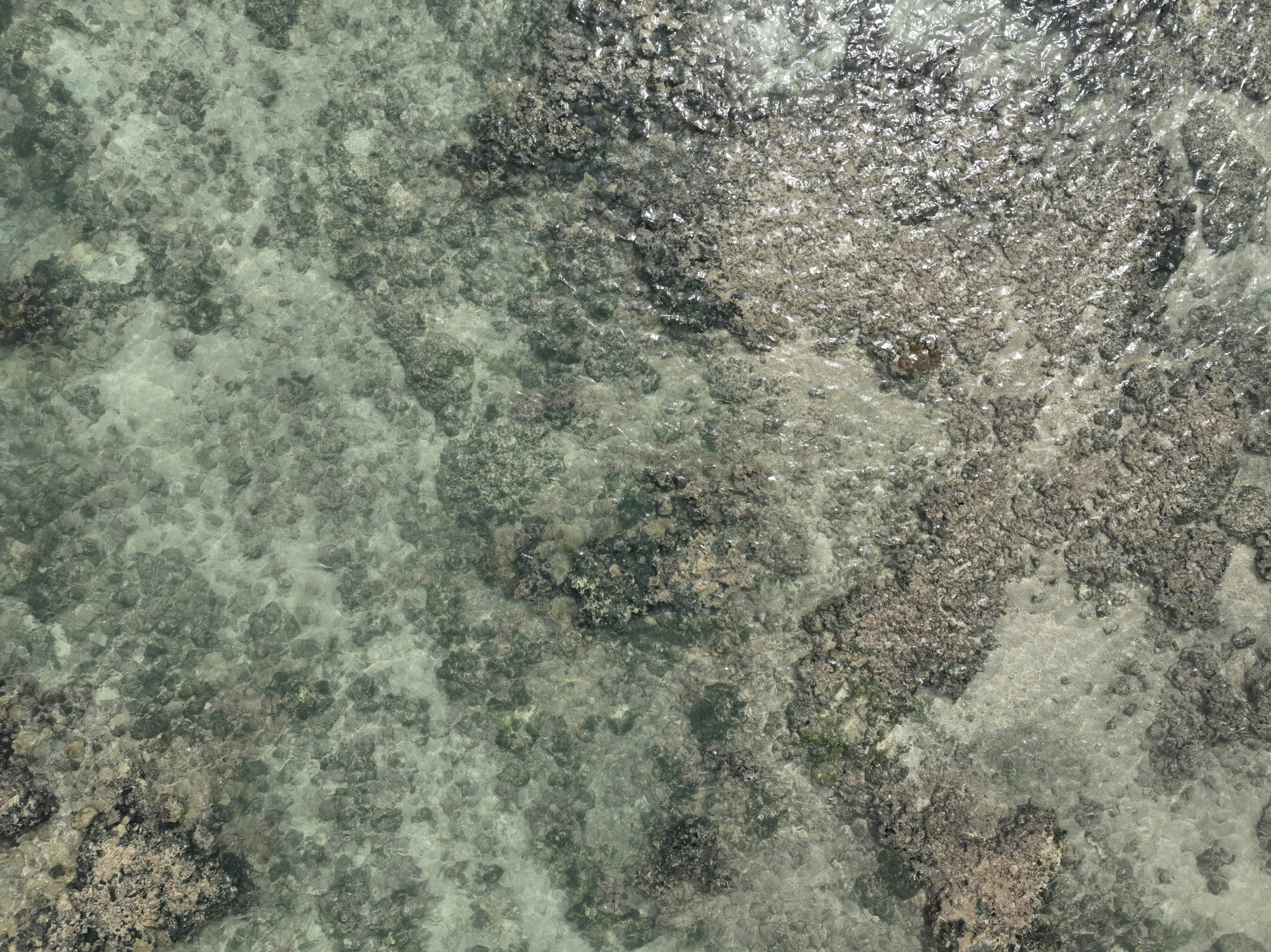 Coastal Marble: Submerged Texture of Tide-Washed Stones