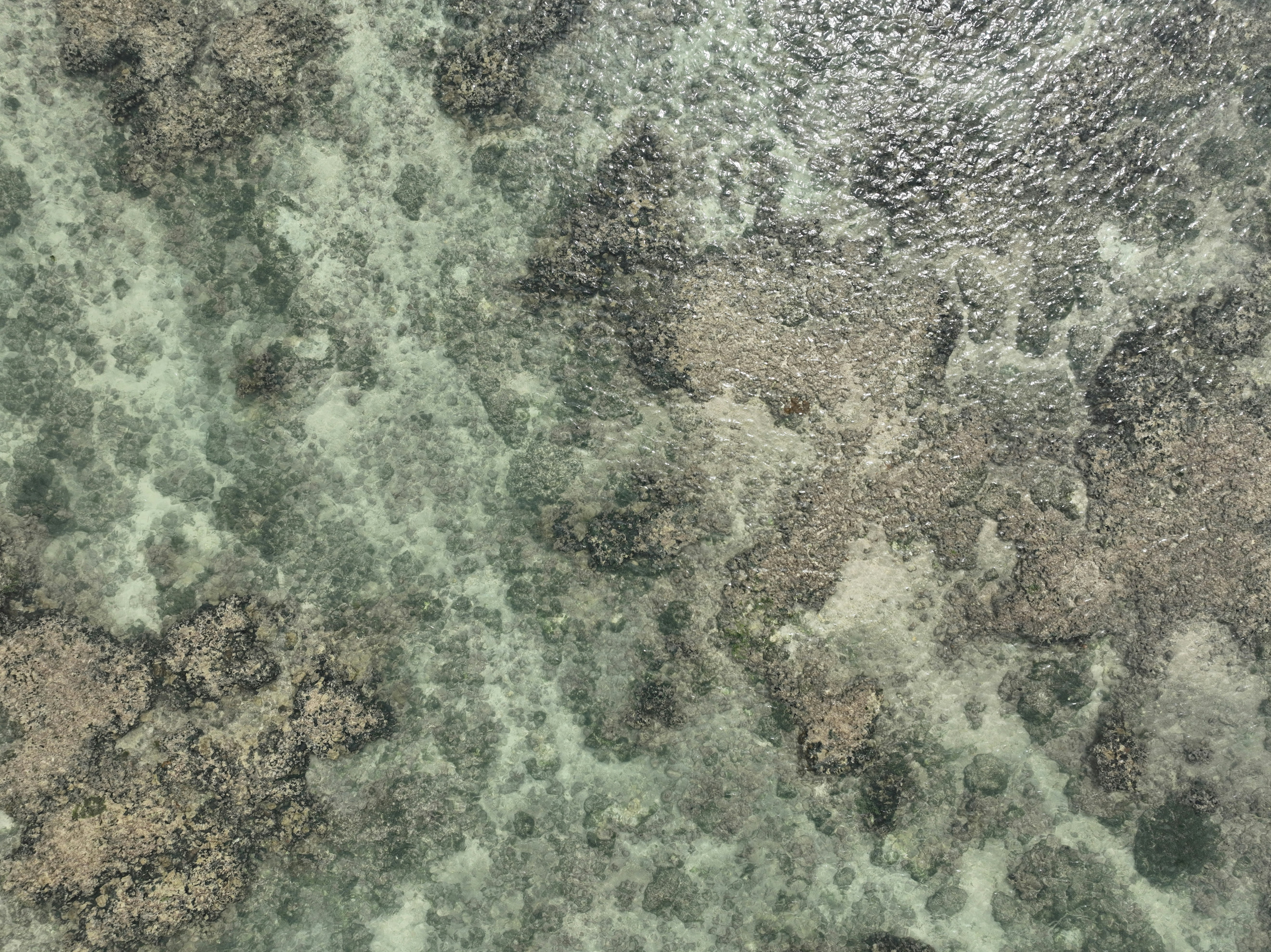 Verdant Reef: Aerial Textures of Coral and Stone