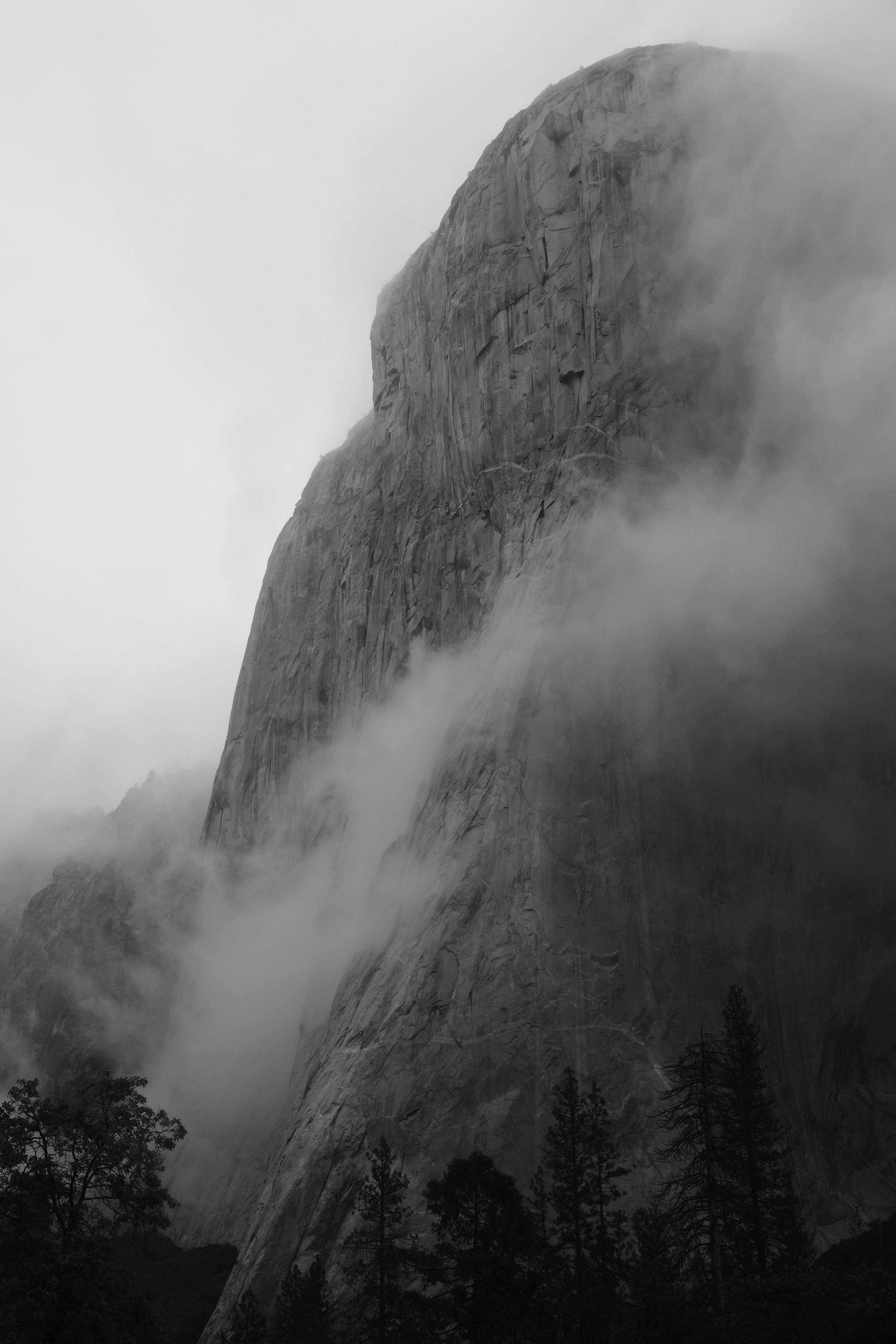 Mist-clad Monolith: A Quiet Descent into Shadowed Peaks