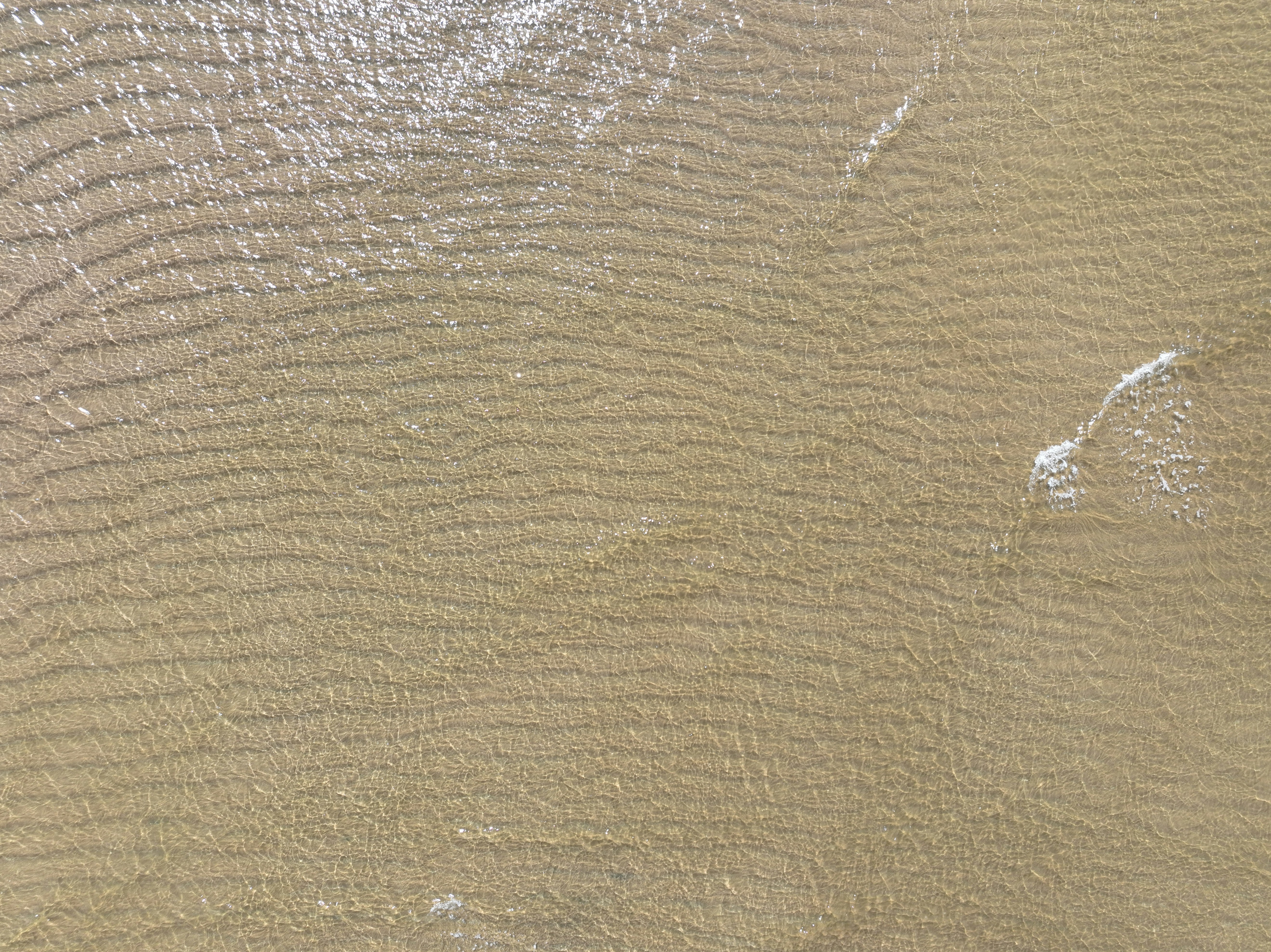 Ripple Patterns on Sunlit Sand